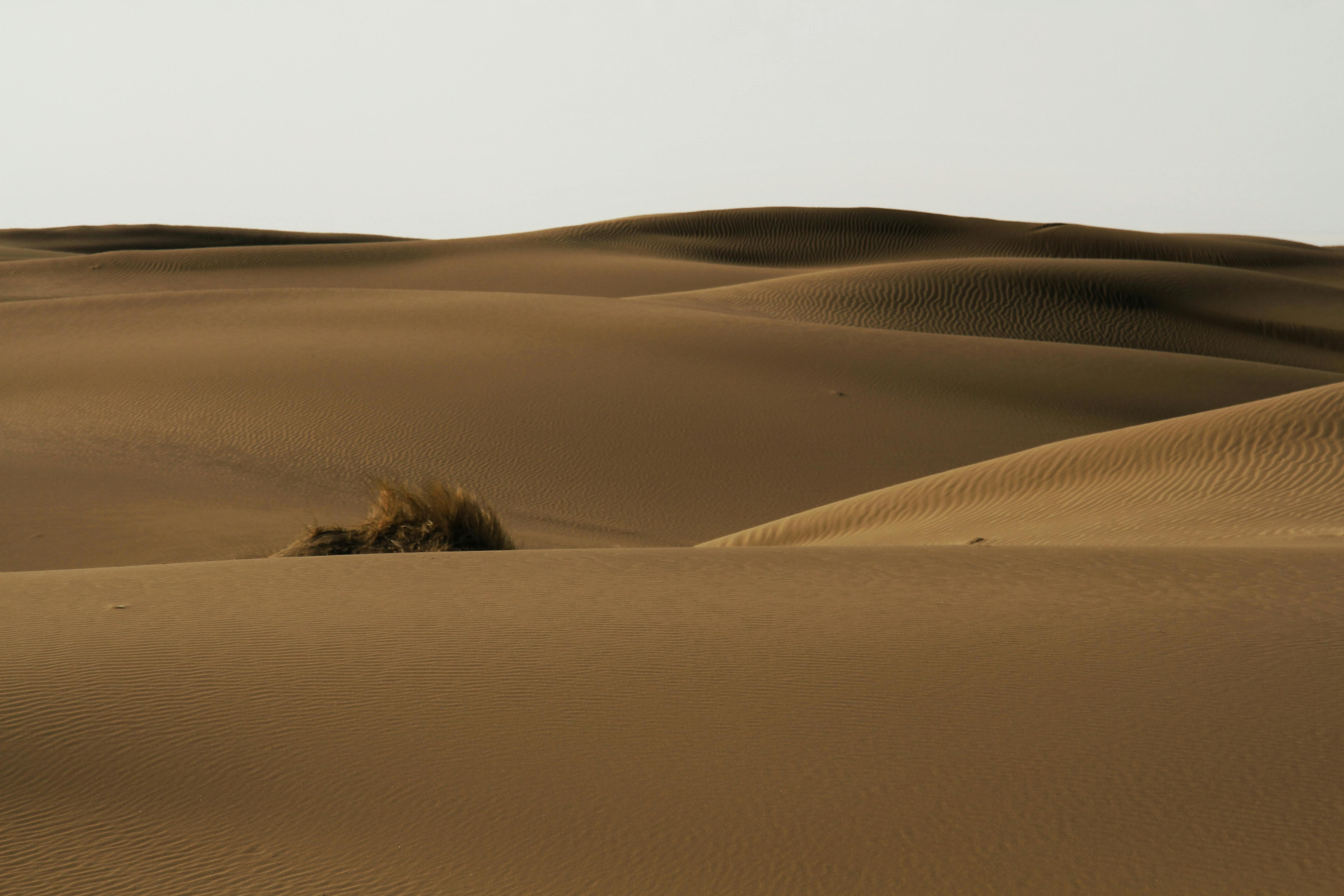 Barren Desert Landscape · Free Stock Photo