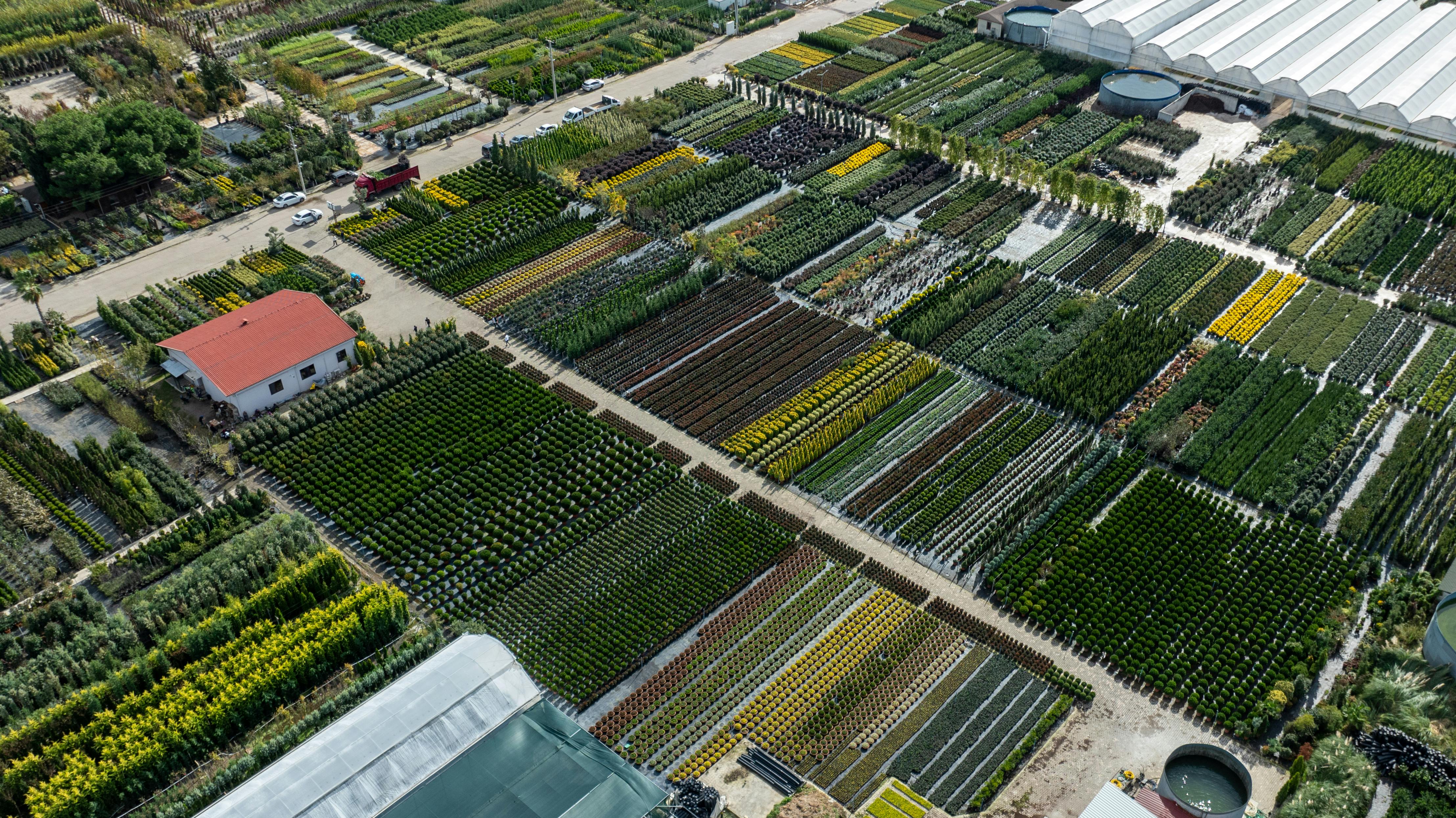 Foto stok gratis tentang agrikultura, atap merah, barisan, berkebun ...