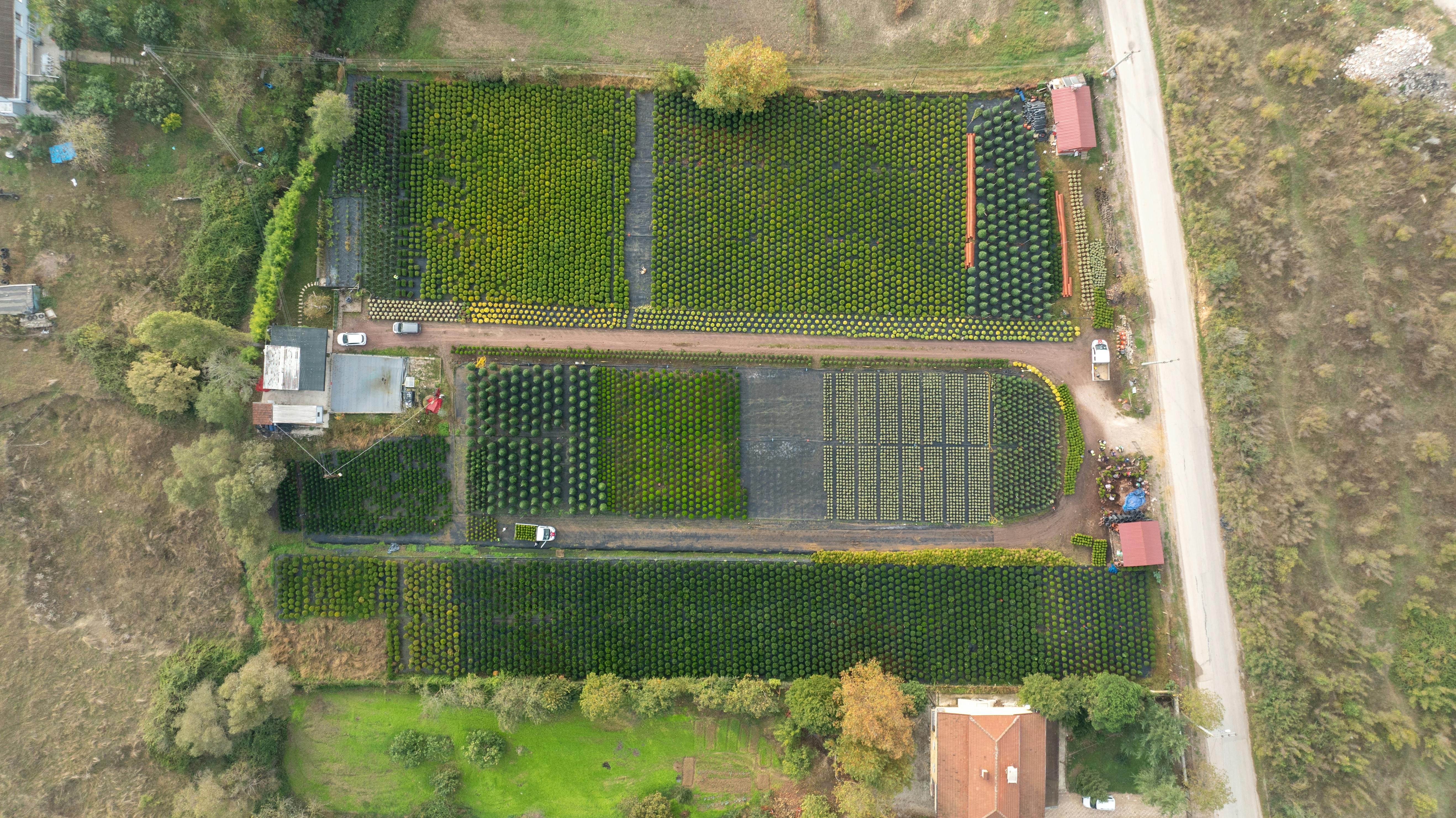 Organized Farms Photos, Download The BEST Free Organized Farms Stock ...