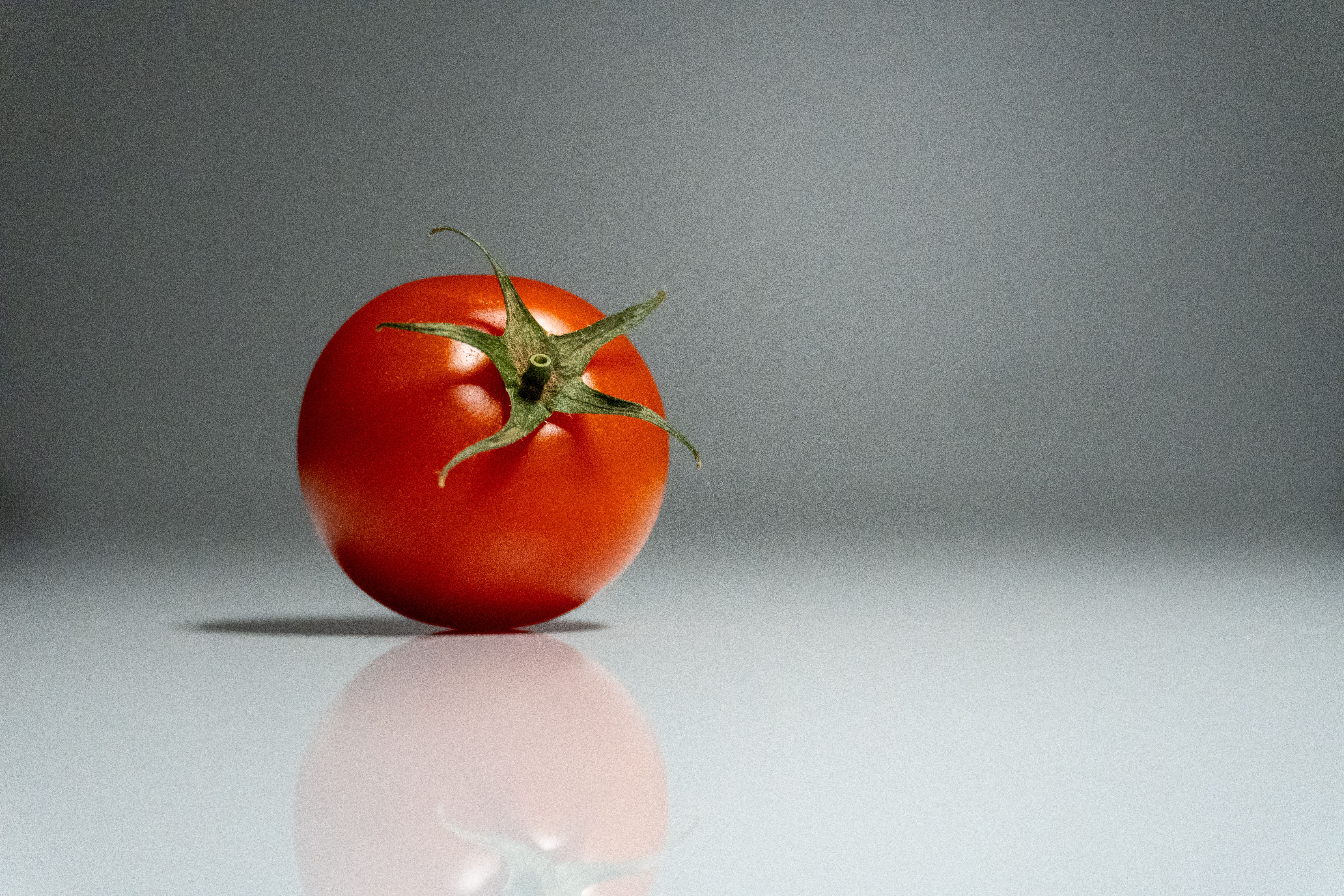 Tomato Photos, Download The BEST Free Tomato Stock Photos & HD Images