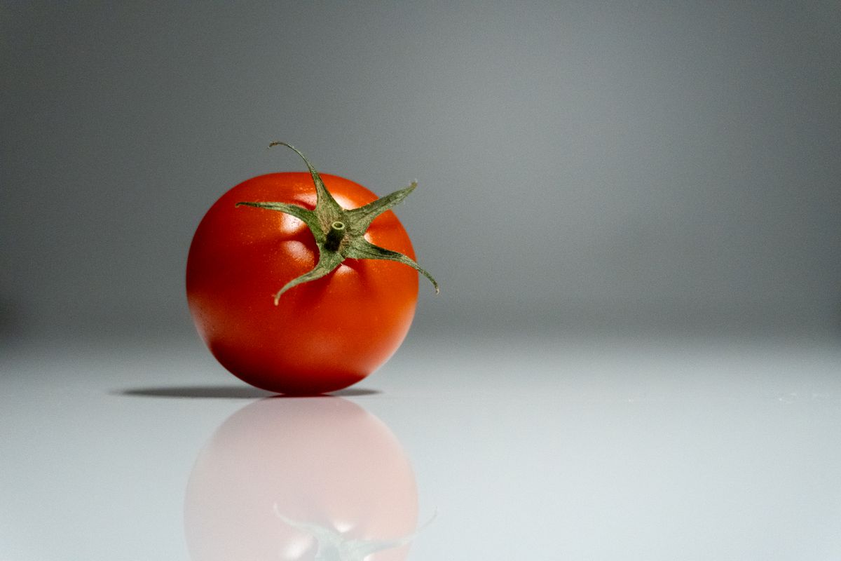Tomato Photos, Download The BEST Free Tomato Stock Photos & HD Images