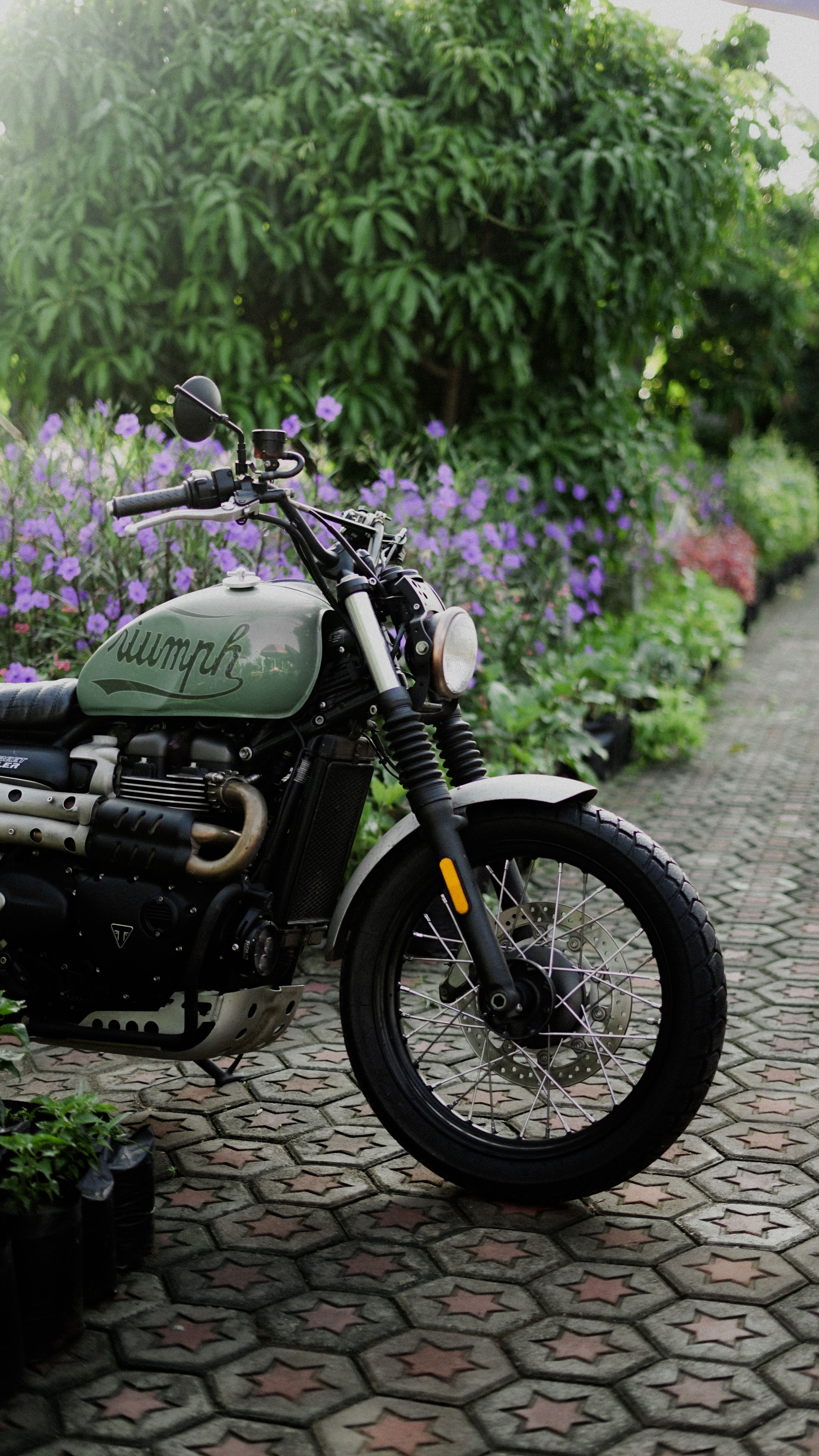 Triumph Motorbike in Garden · Free Stock Photo