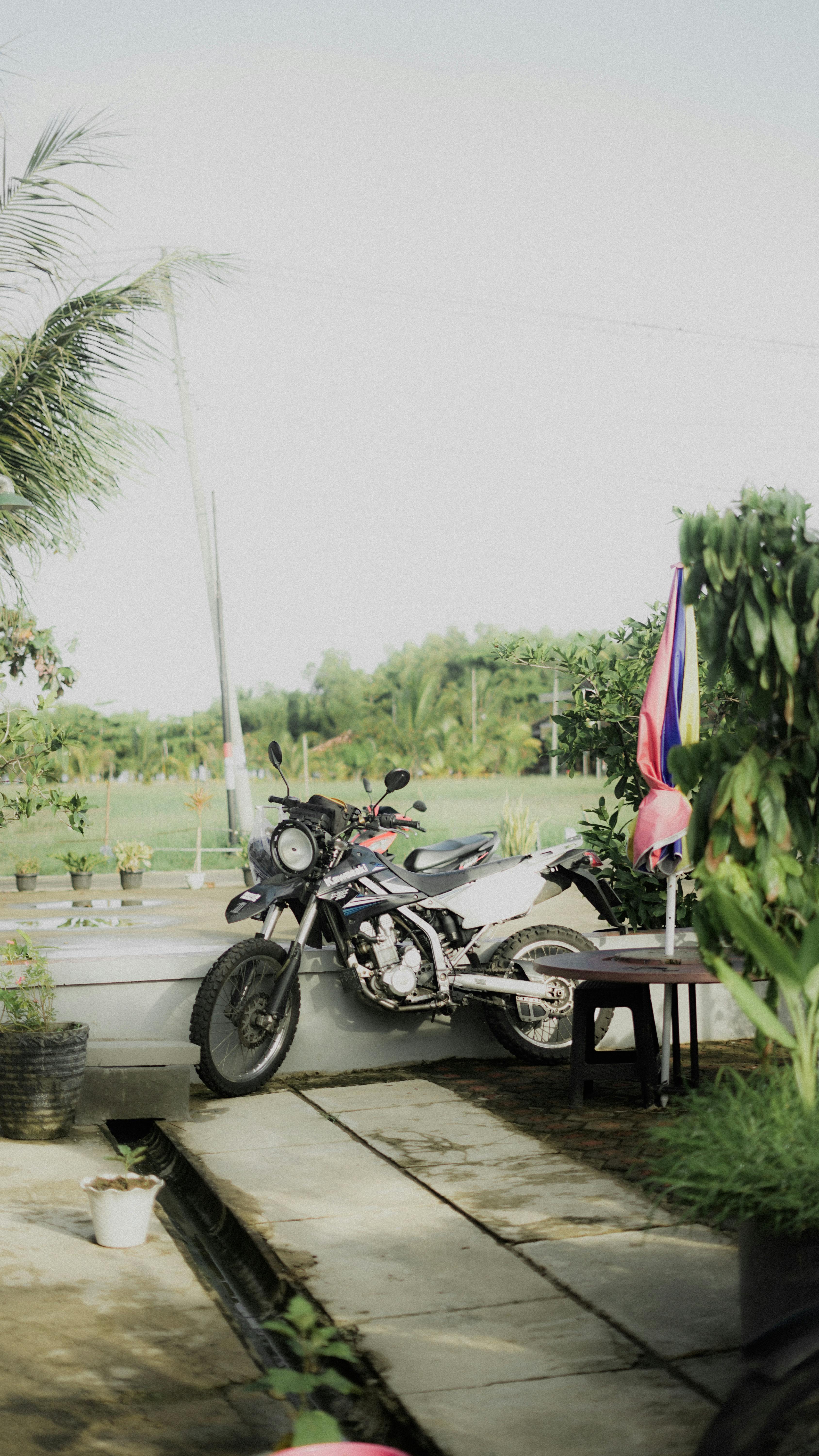 Motorcycle in Garden · Free Stock Photo