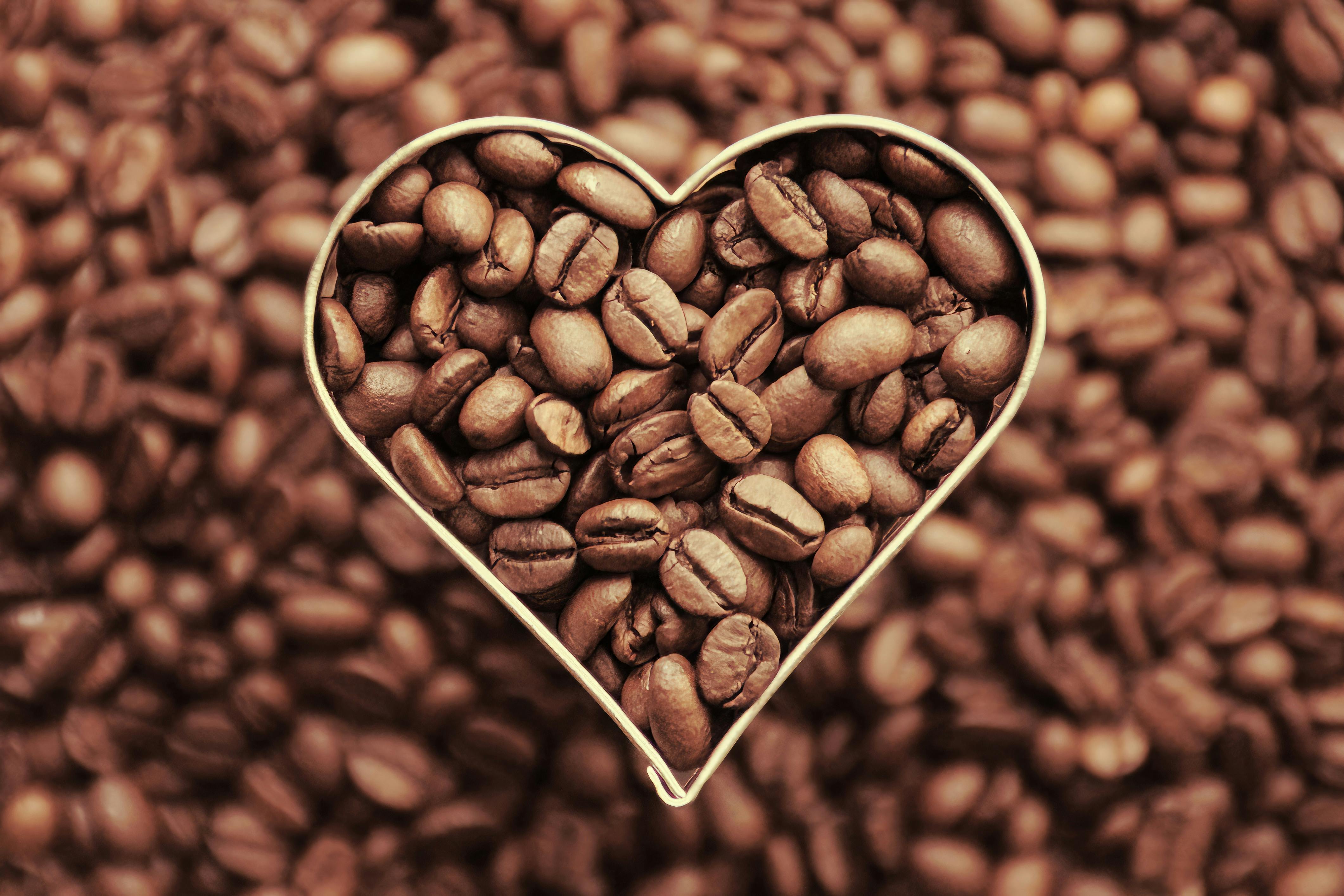 Coffe Beans Photos, Download The BEST Free Coffe Beans Stock Photos ...
