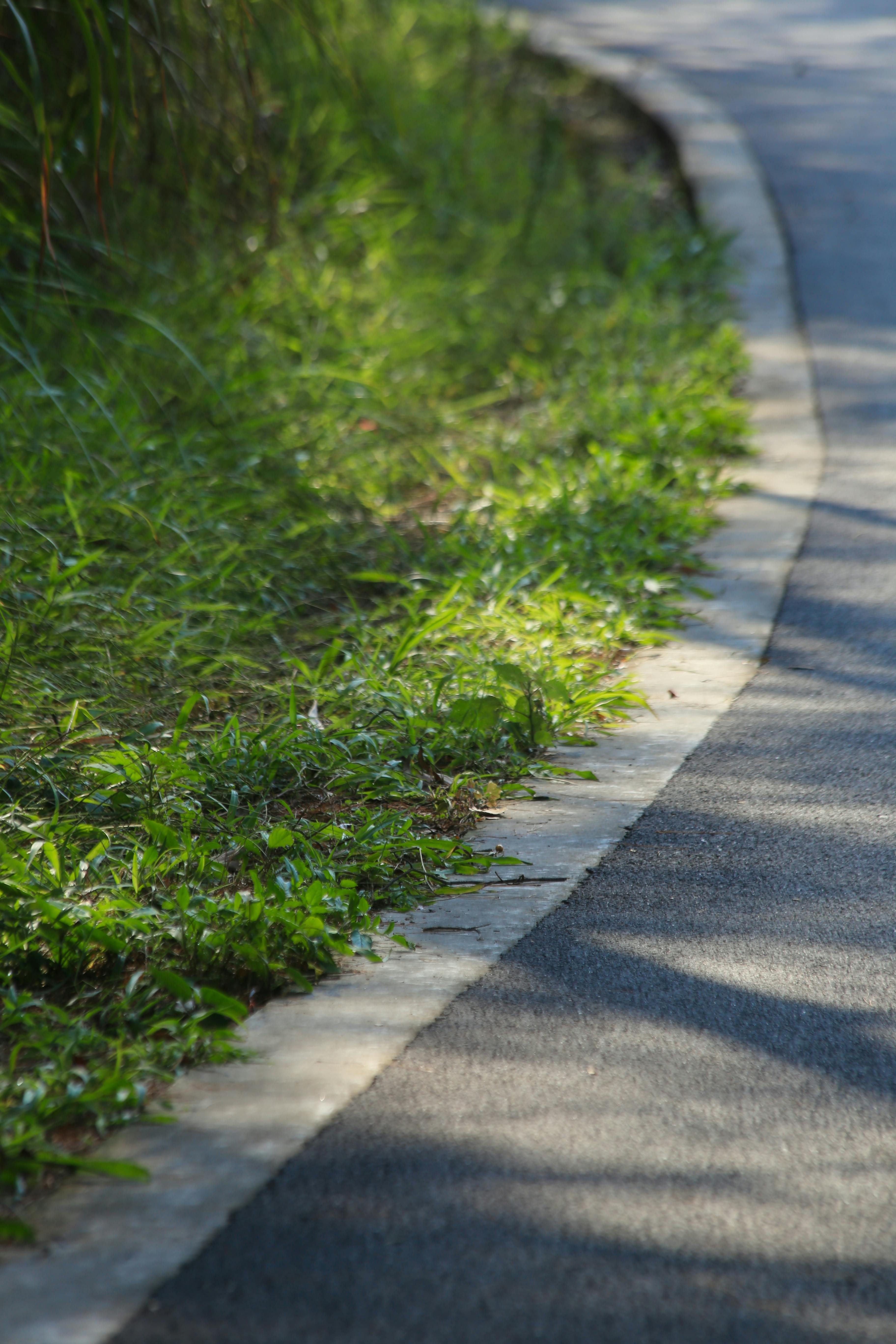 Curb Between Grass and Pavement · Free Stock Photo