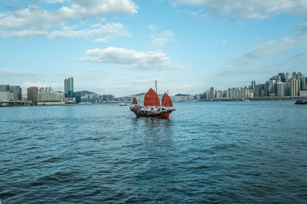 Ling Photos, Download The BEST Free Ling Stock Photos & HD Images