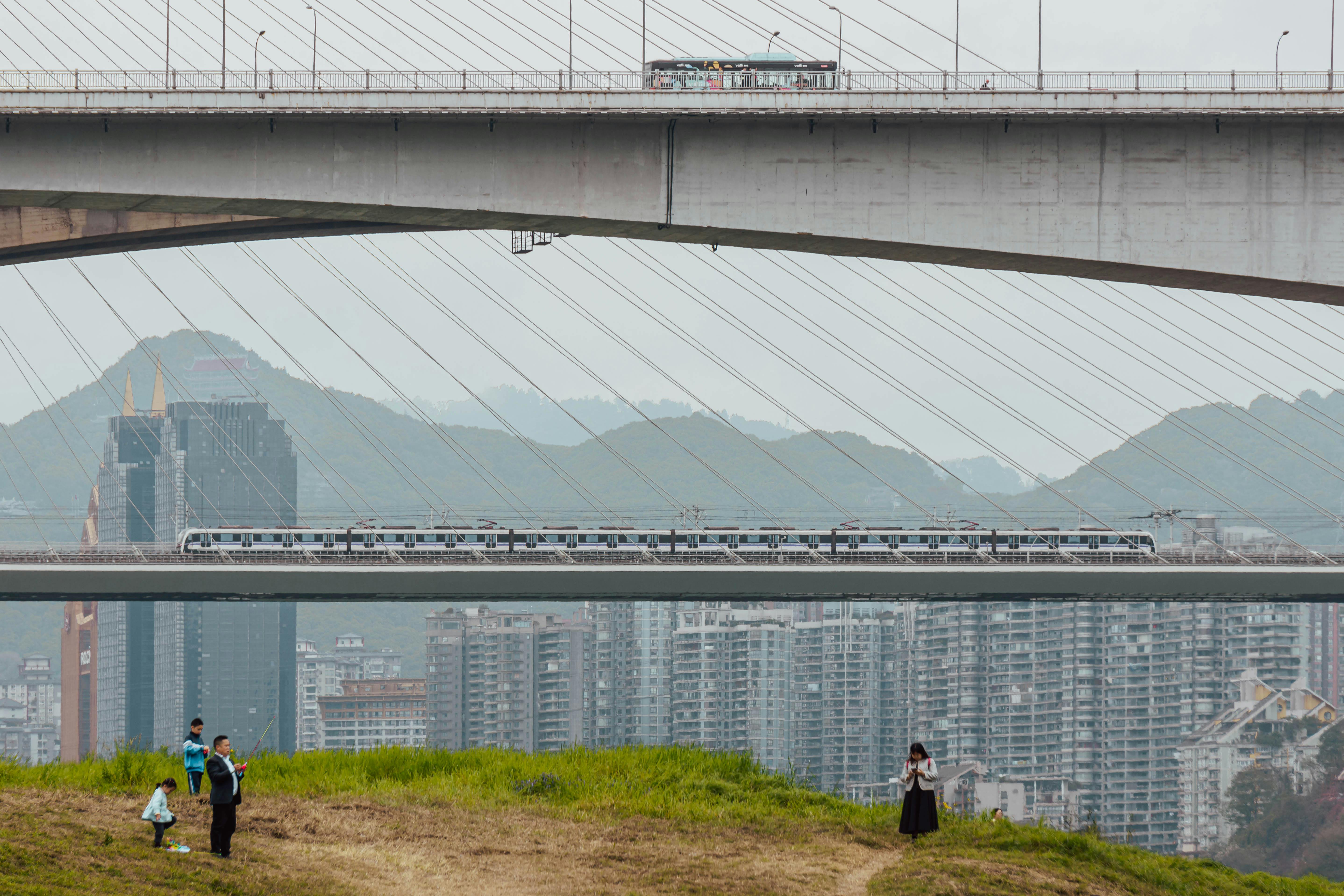 People on Hill under Bridges in City · Free Stock Photo