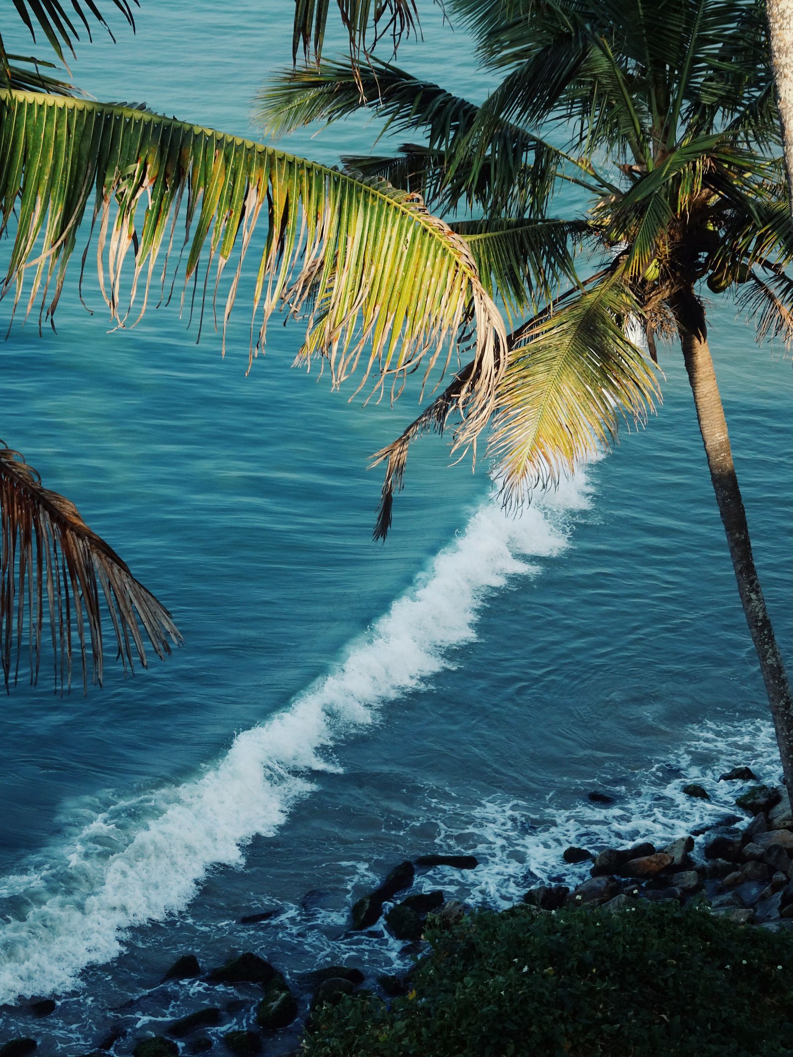 Kerala 4k Photos, Download The BEST Free Kerala 4k Stock Photos & HD Images