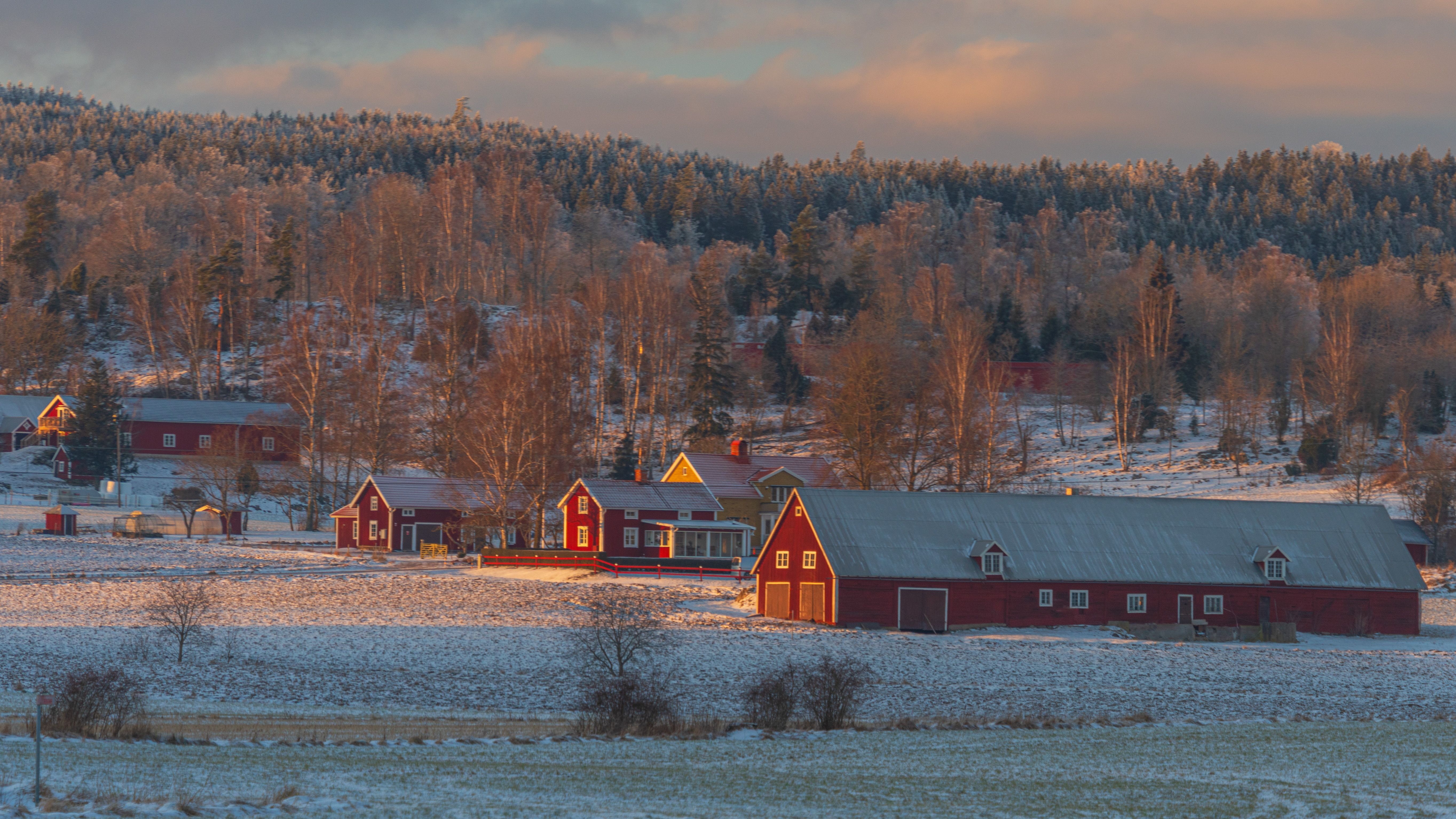 Traditional Wooden Red Buildings · Free Stock Photo