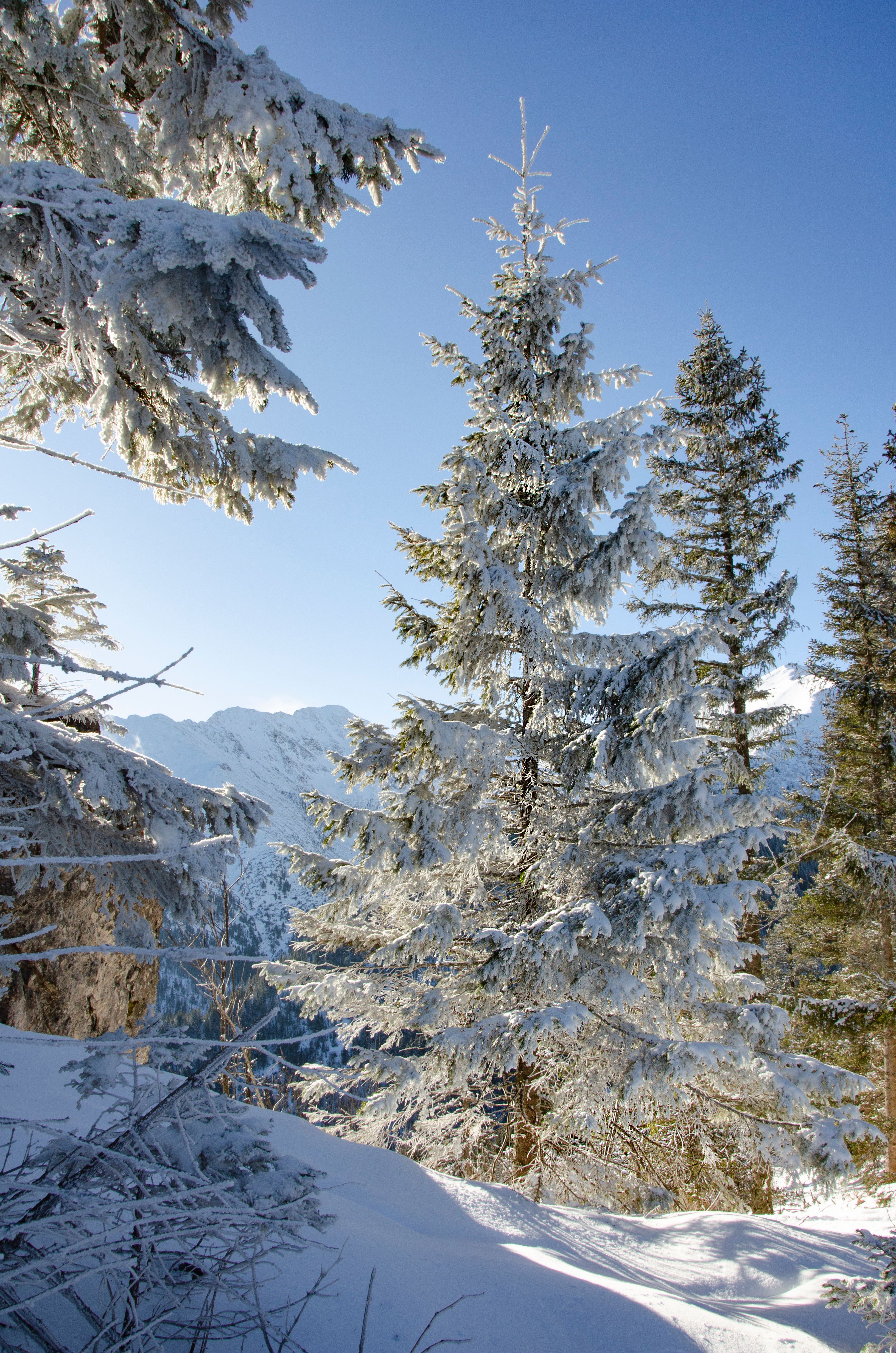 Snowy Mountain Scenery · Free Stock Photo