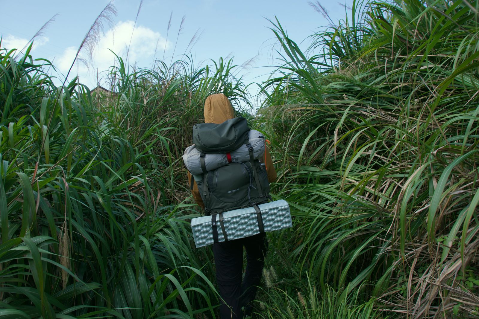 Hitch Hiking Photos, Download The BEST Free Hitch Hiking Stock Photos ...