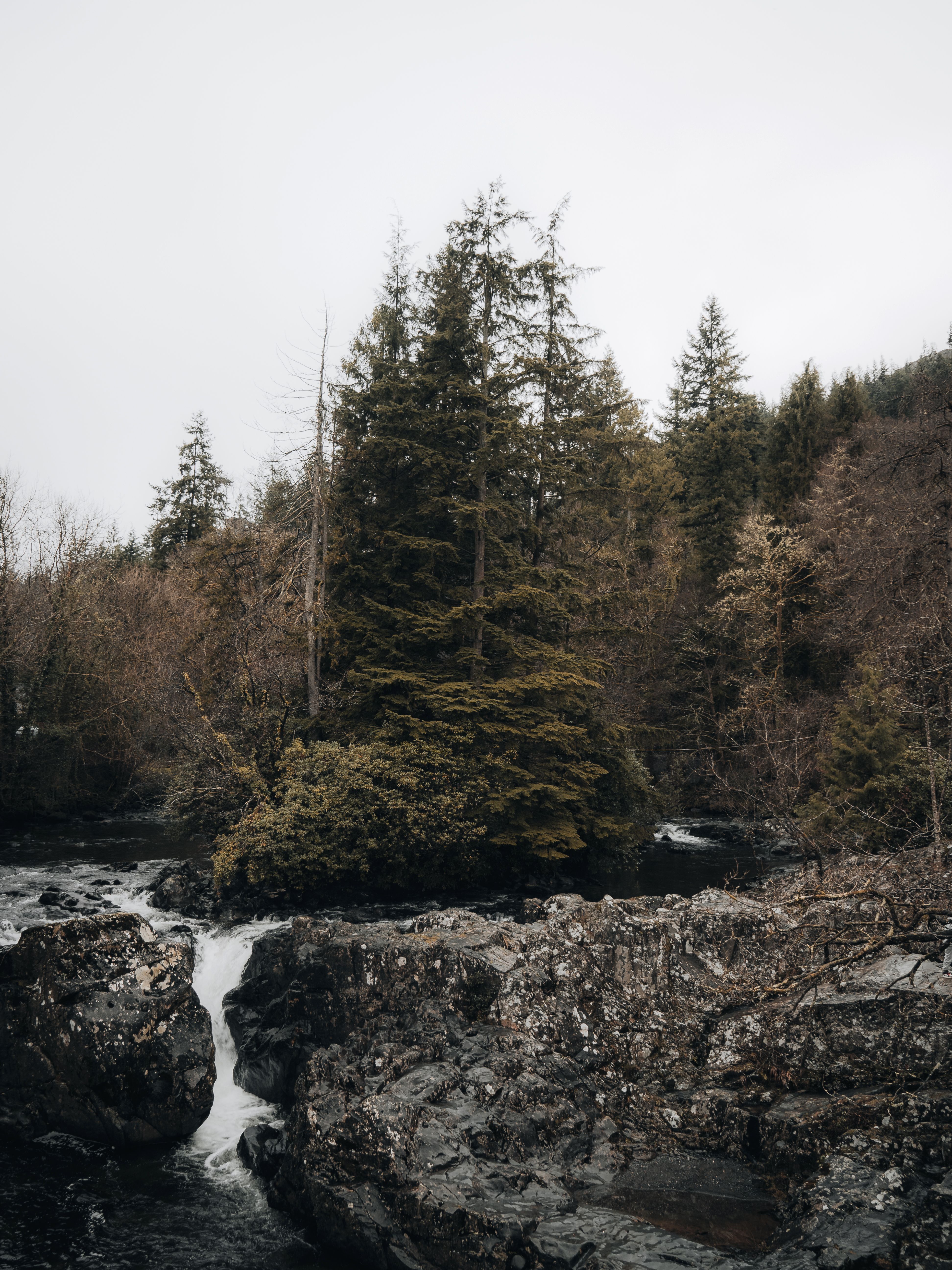 View of a Creek and Autumnal Trees in a Park · Free Stock Photo