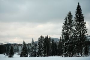 Cold Landscape Photos, Download The BEST Free Cold Landscape Stock ...