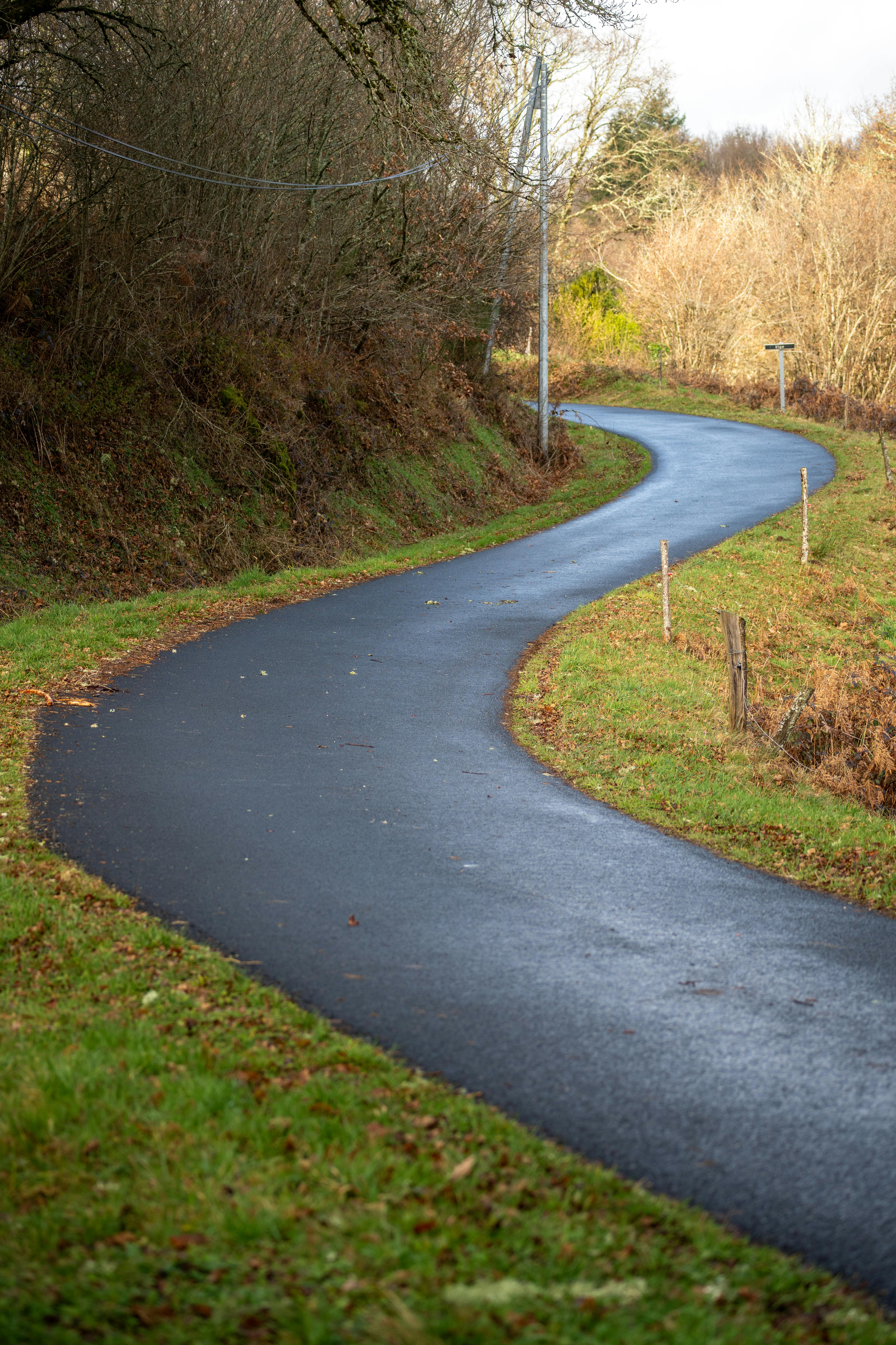 View of an Empty Asphalt Footpath in a Park in a Autumn · Free Stock Photo