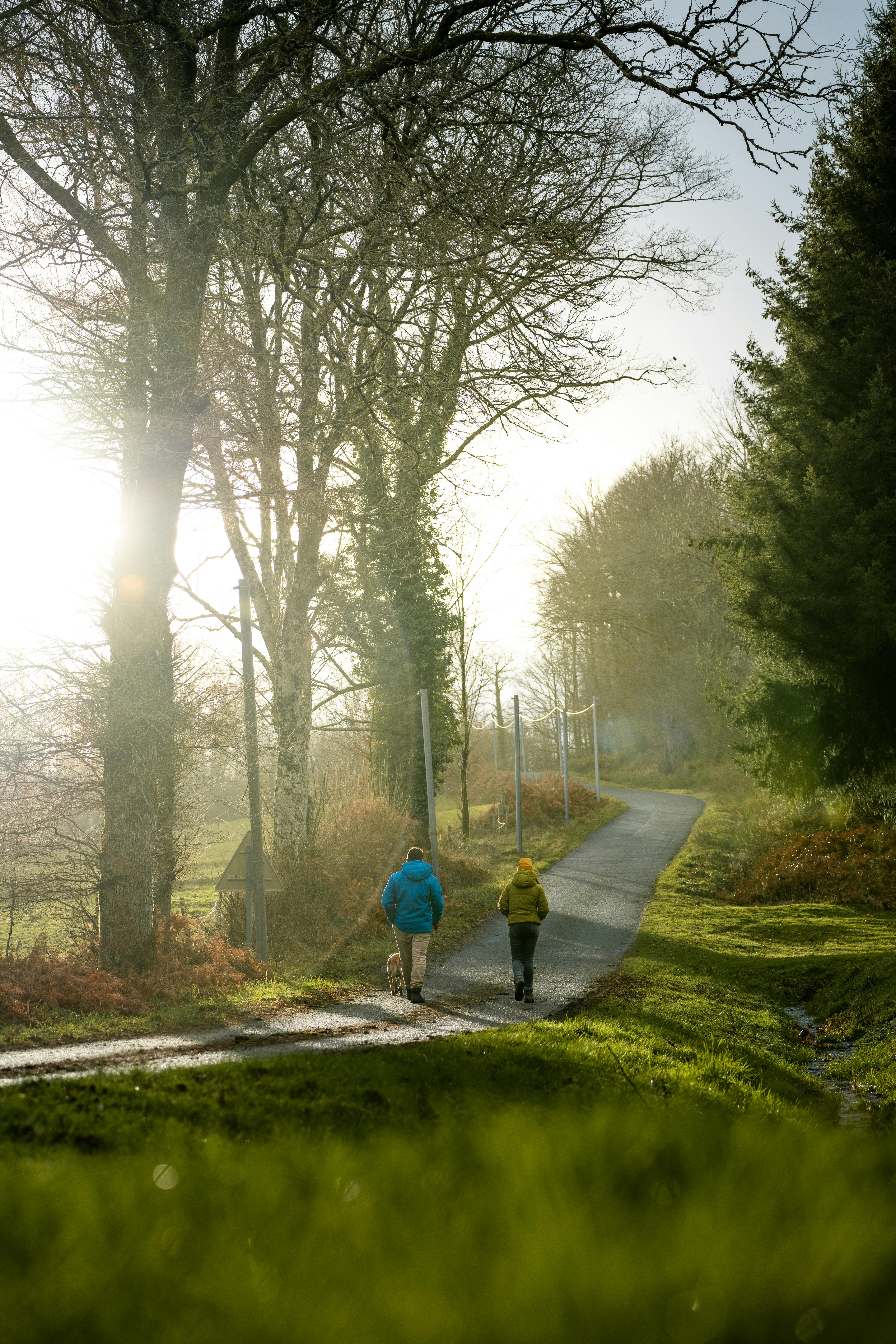 Couple Walking a Dog on a Country Road · Free Stock Photo