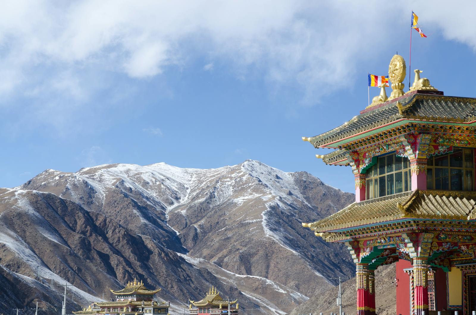 Tibet Photos, Download The BEST Free Tibet Stock Photos & HD Images
