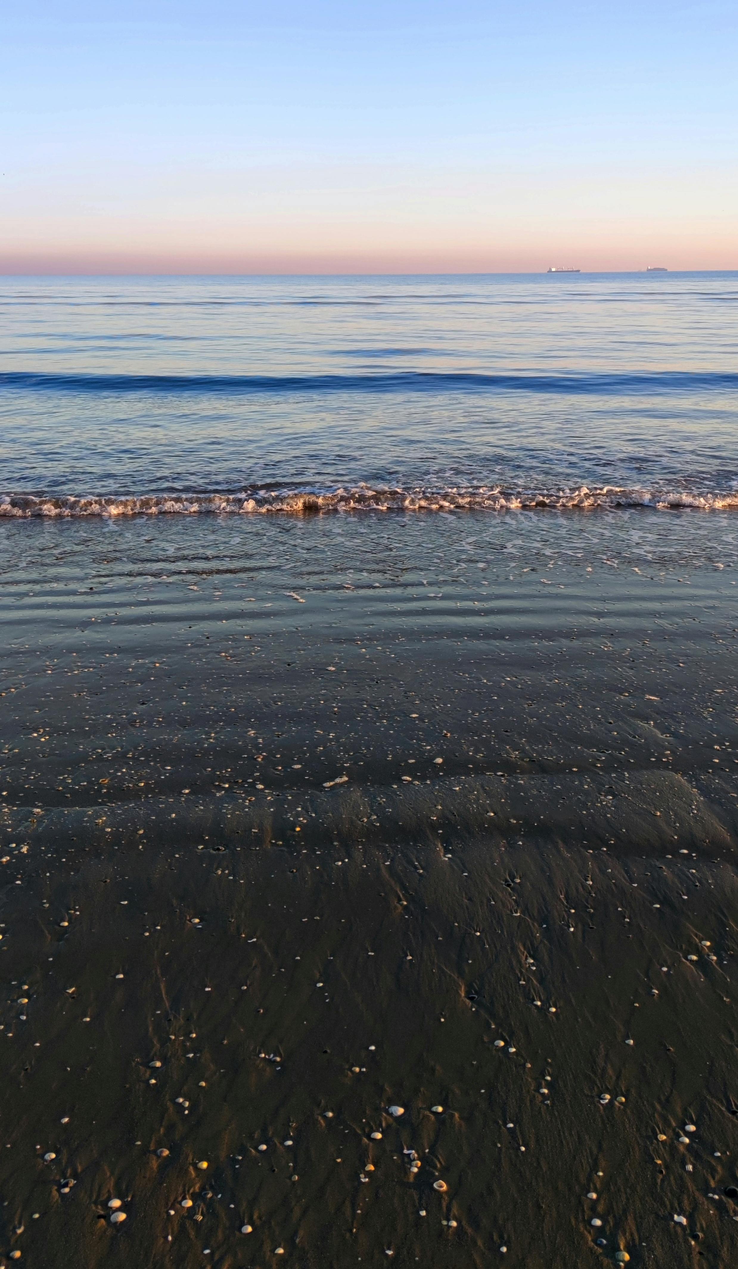 ana simona bevecz - Photography