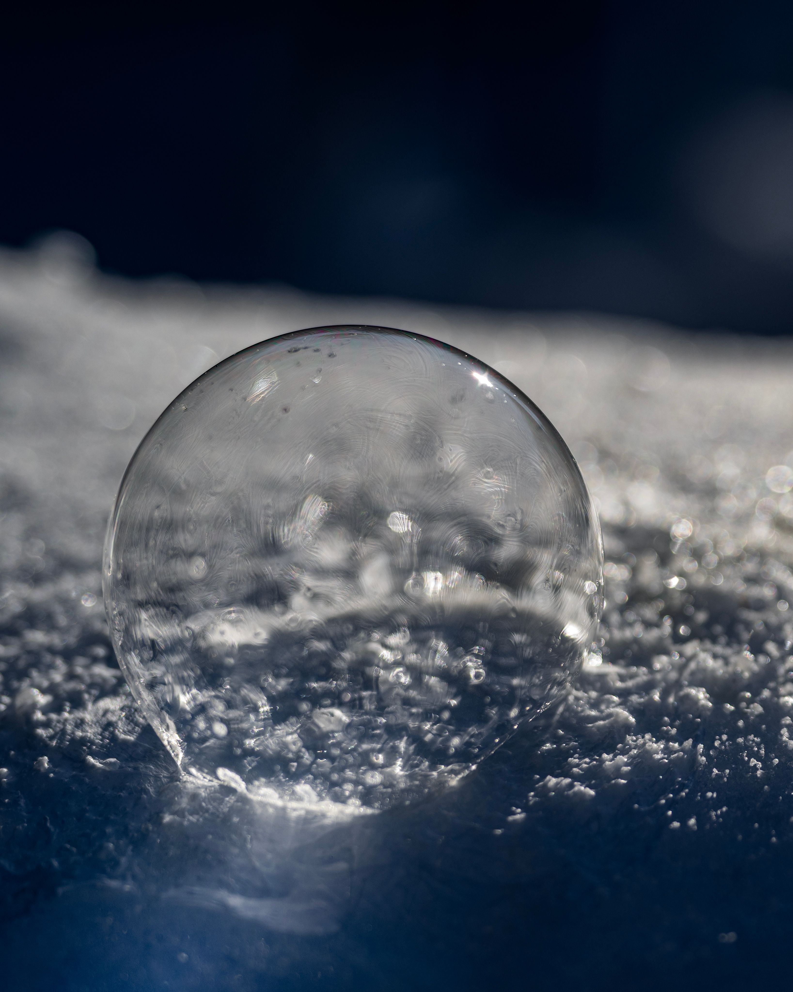 Bubble on Snow · Free Stock Photo