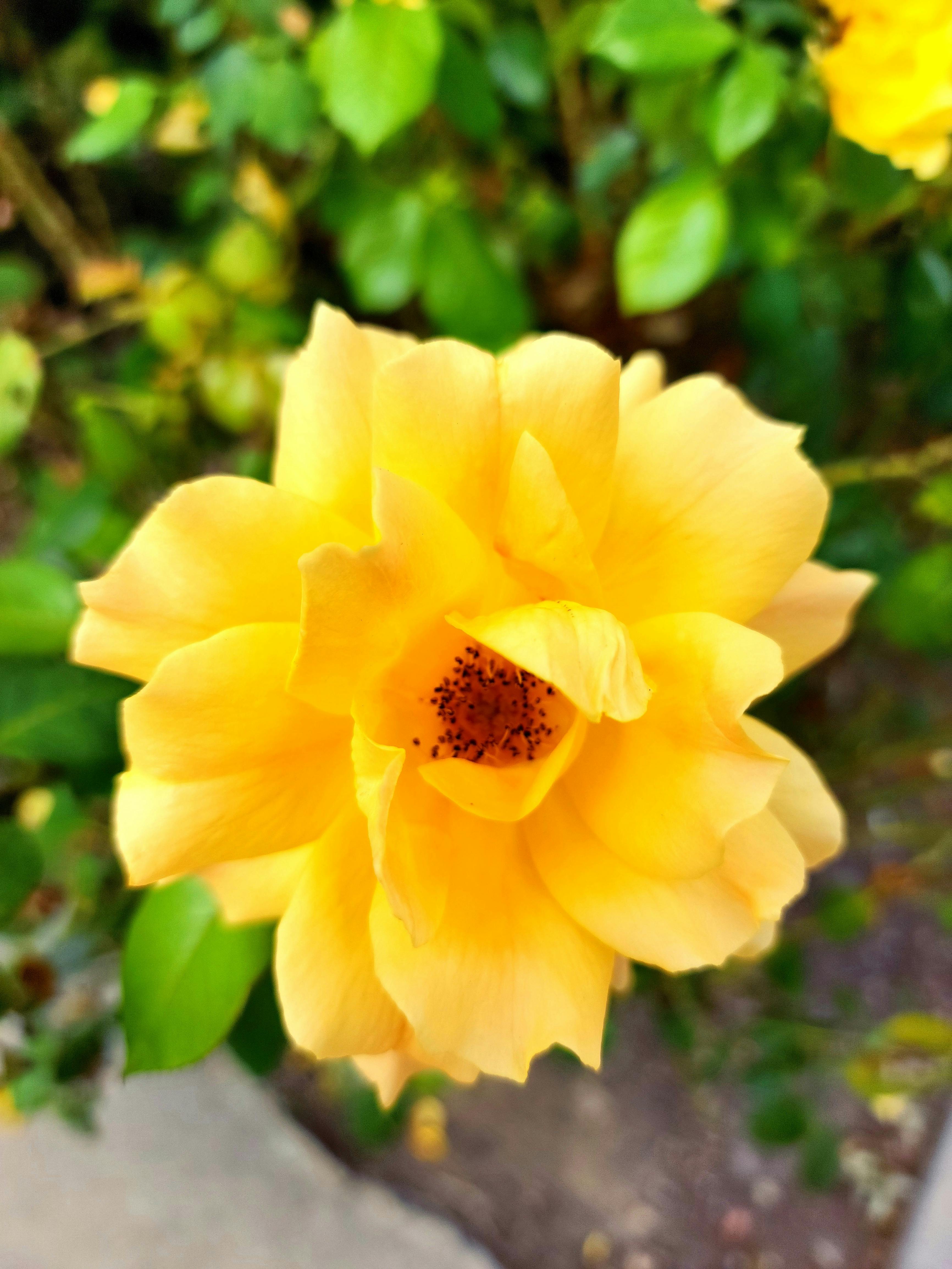 Uriel Z - Photography