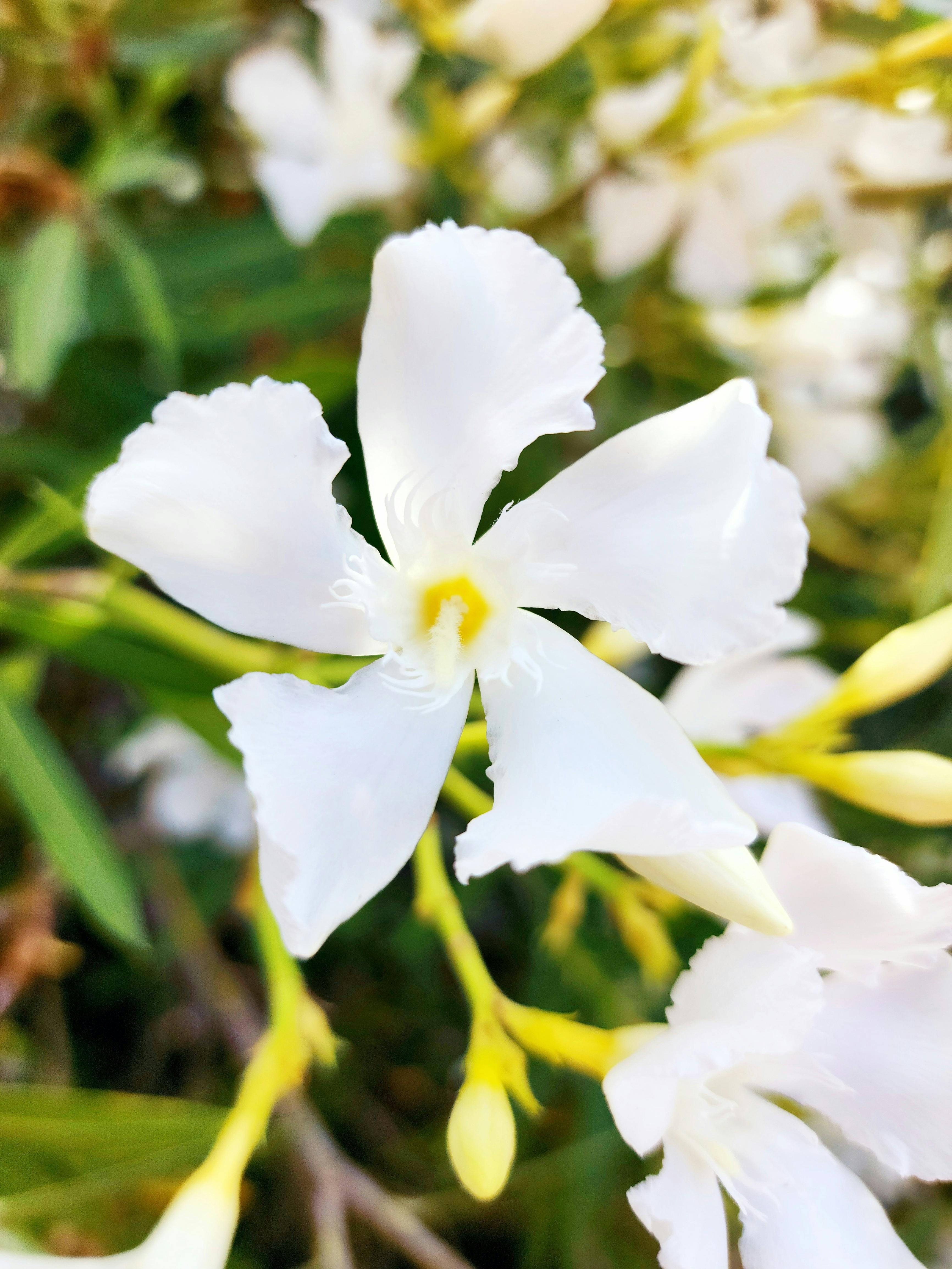 Uriel Z - Photography