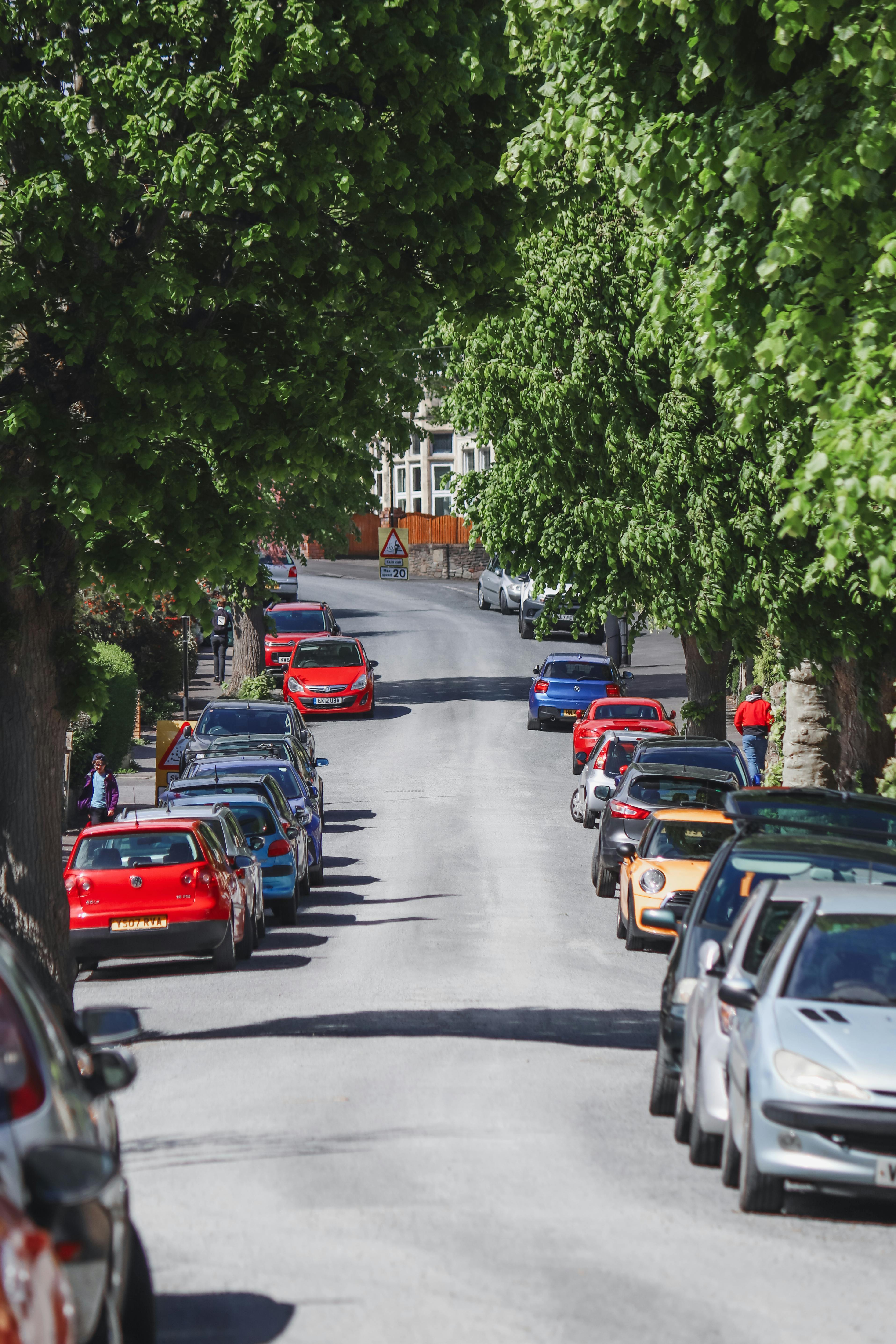 Foto de stock gratuita sobre @al aire libre, aparcamiento, arboles ...