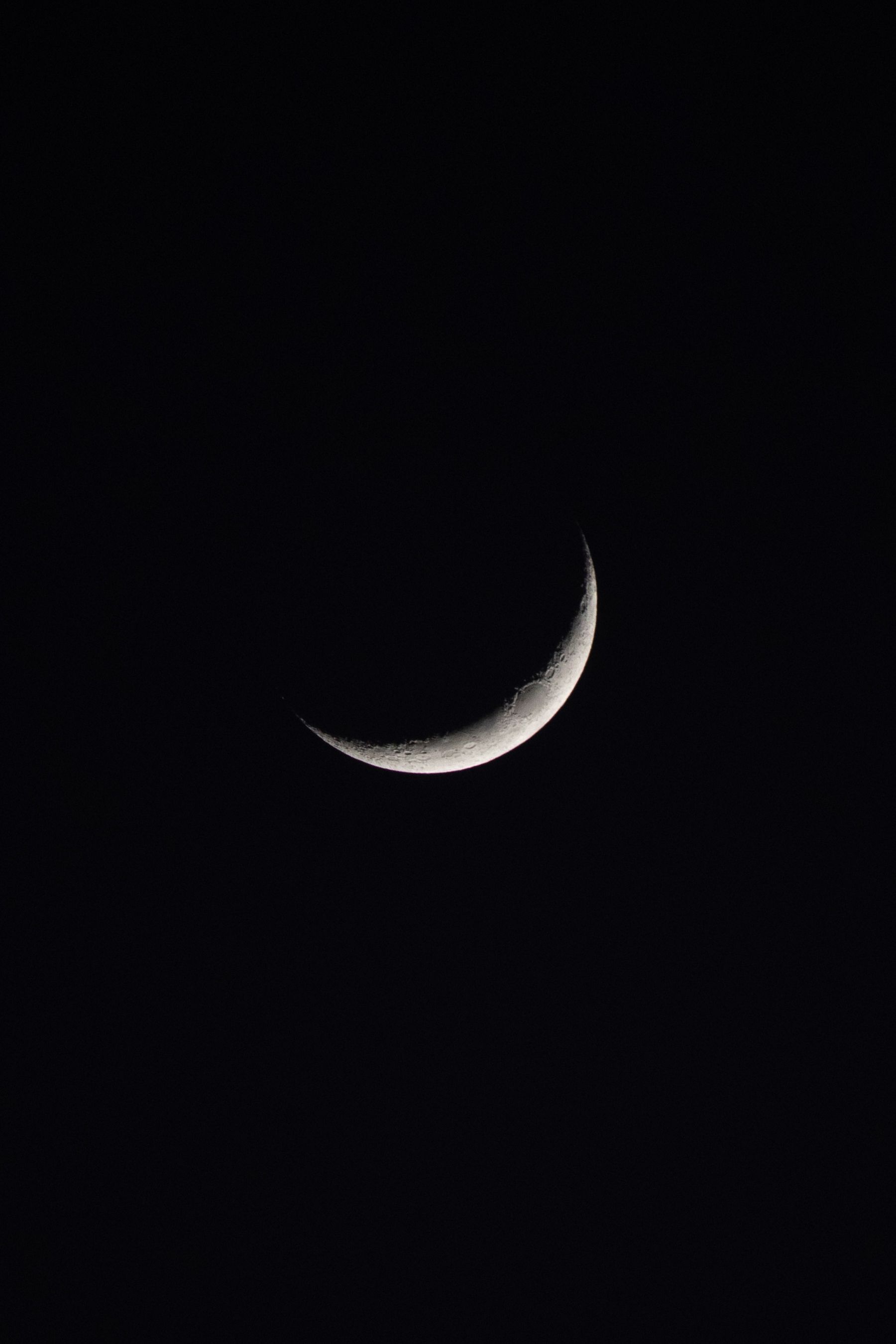 Crescent Shaped Photos, Download The BEST Free Crescent Shaped Stock ...