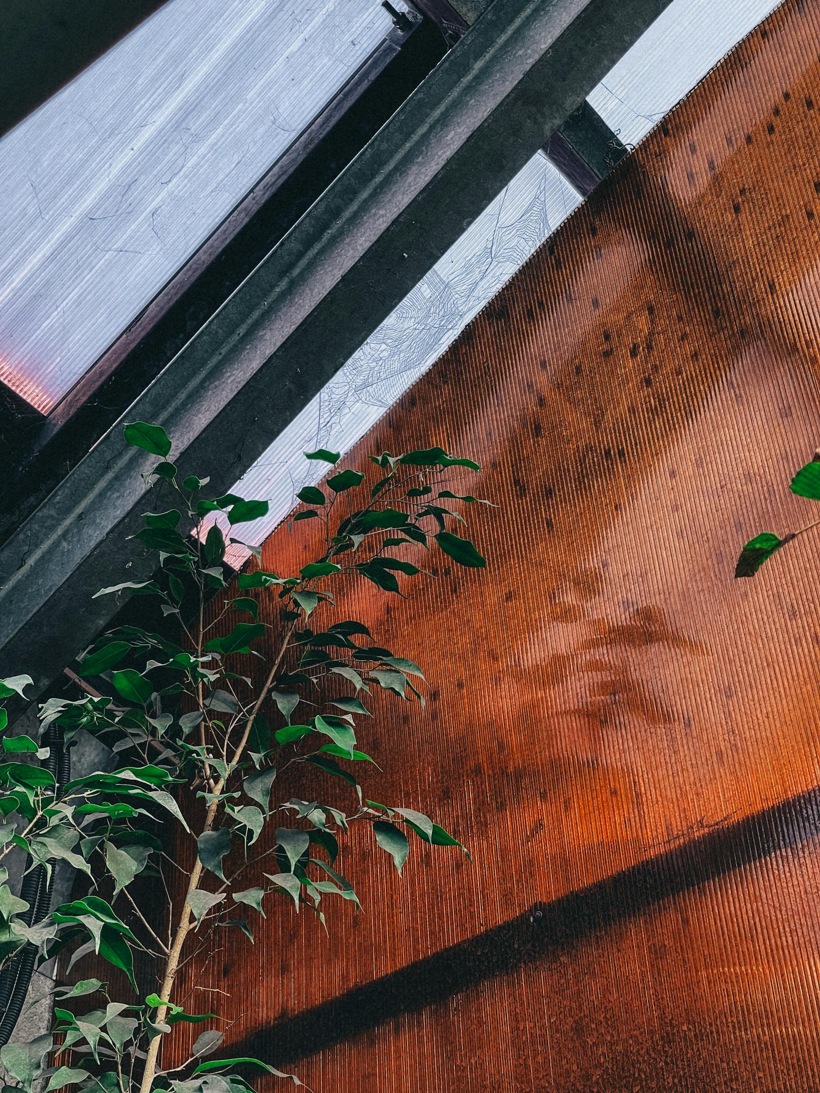 Building Wall Photos, Download The BEST Free Building Wall Stock Photos ...