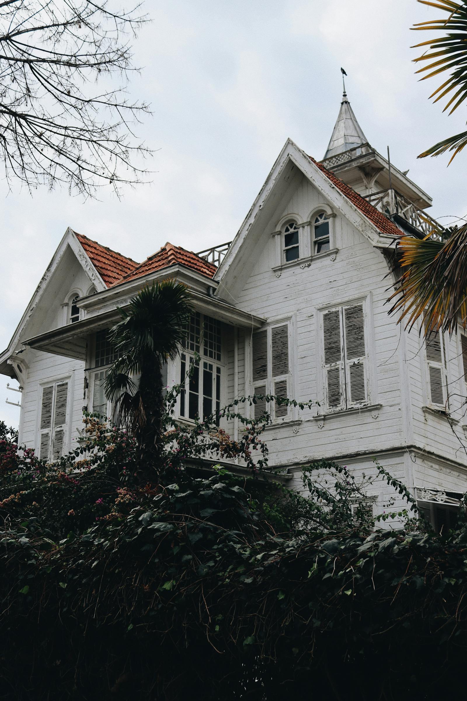 House With Trees Photos, Download The BEST Free House With Trees Stock ...