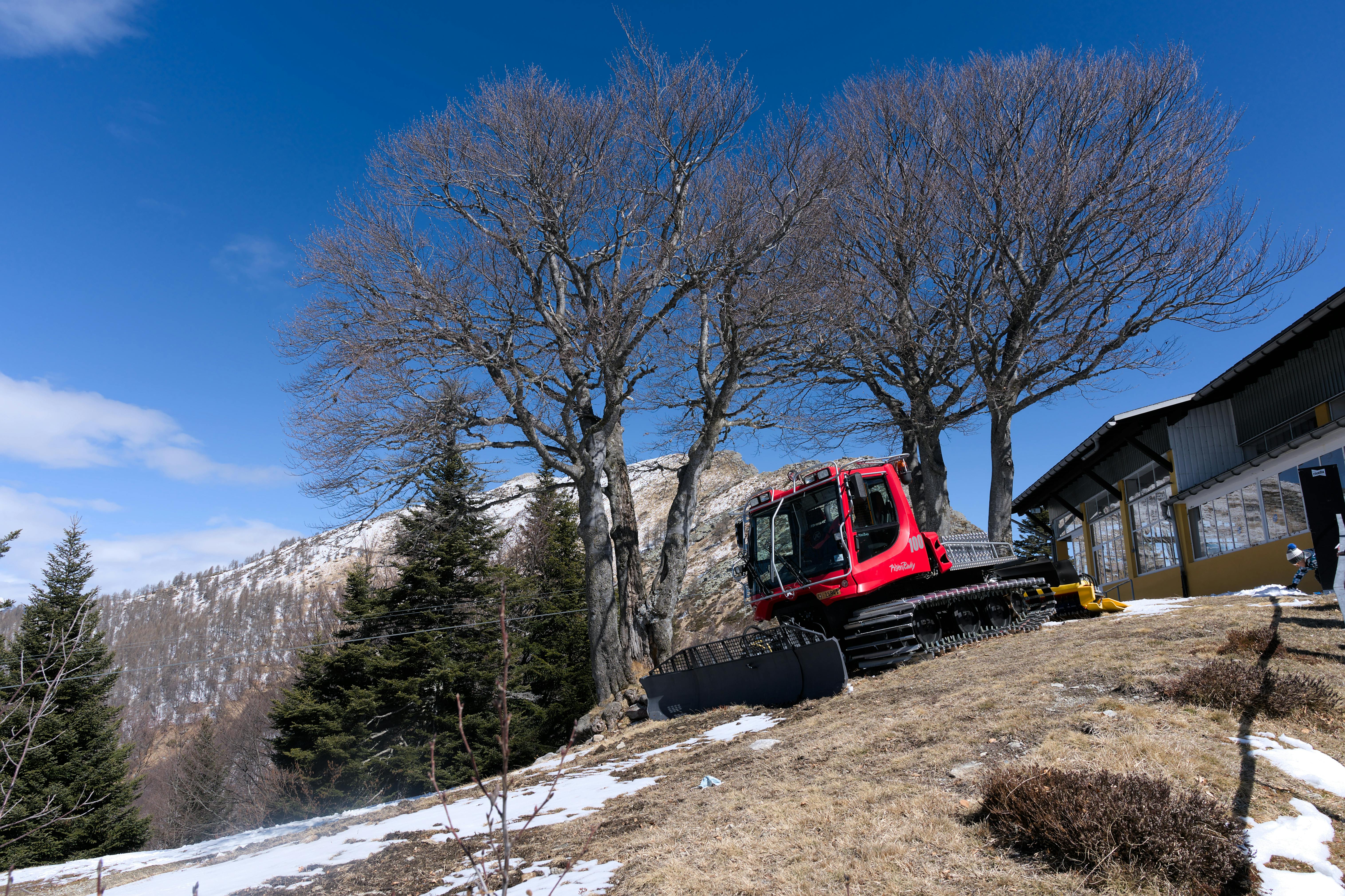 Bulldozer Among Trees in a Valley · Free Stock Photo