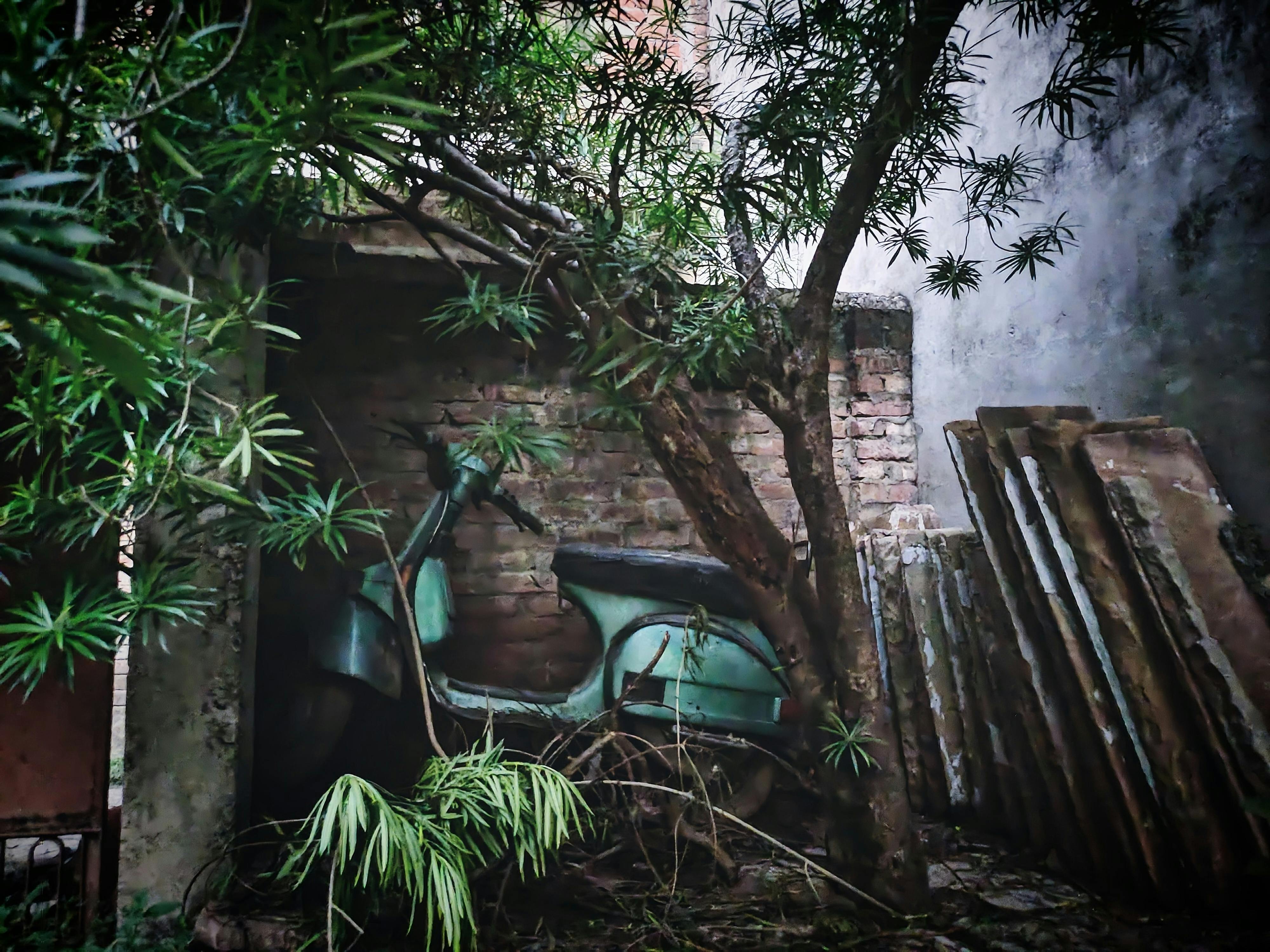 Abandoned Motor Scooter behind Tree · Free Stock Photo