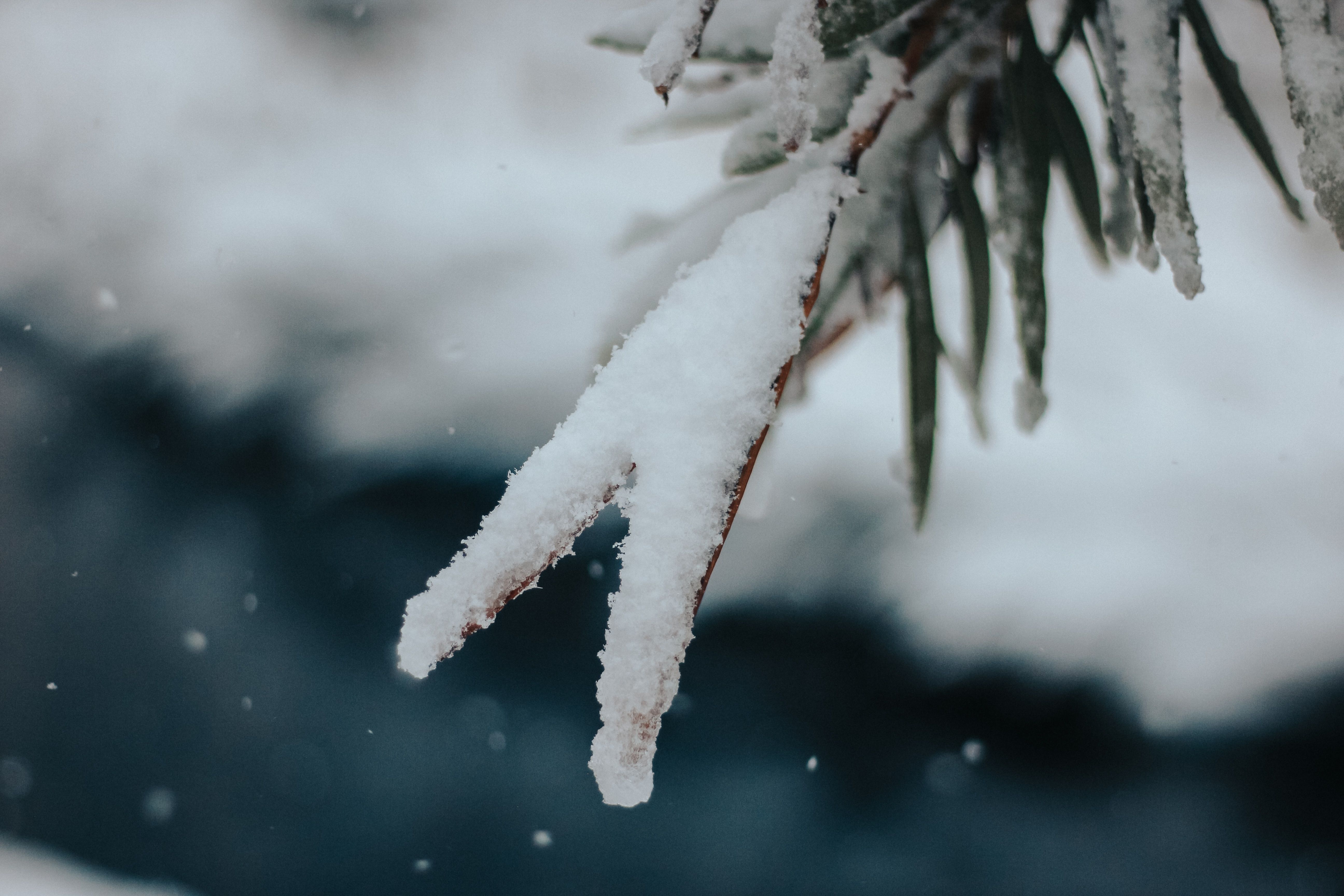 Ice Rain Photos, Download The BEST Free Ice Rain Stock Photos & HD Images