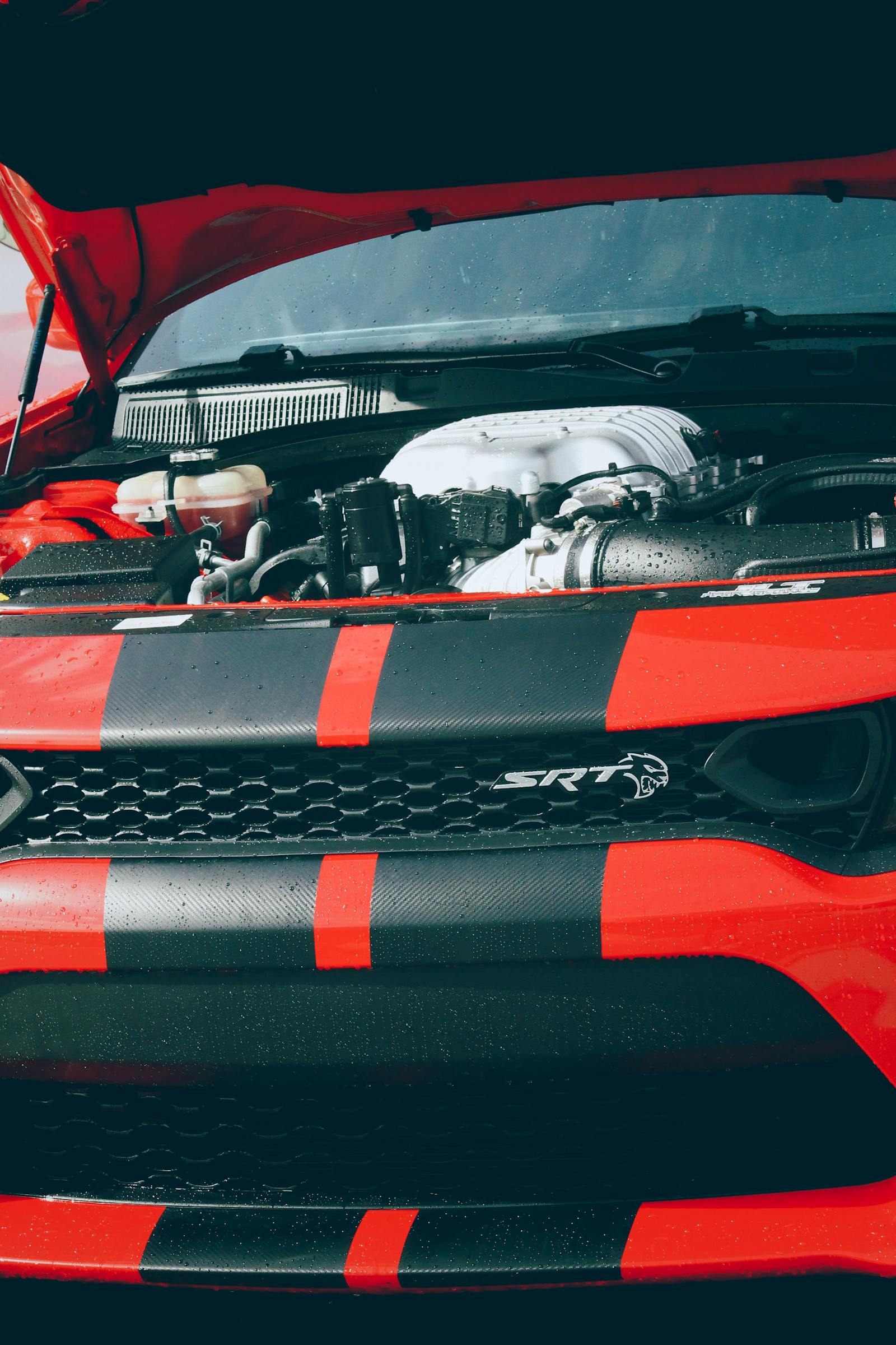 Srt Photos, Download The BEST Free Srt Stock Photos & HD Images