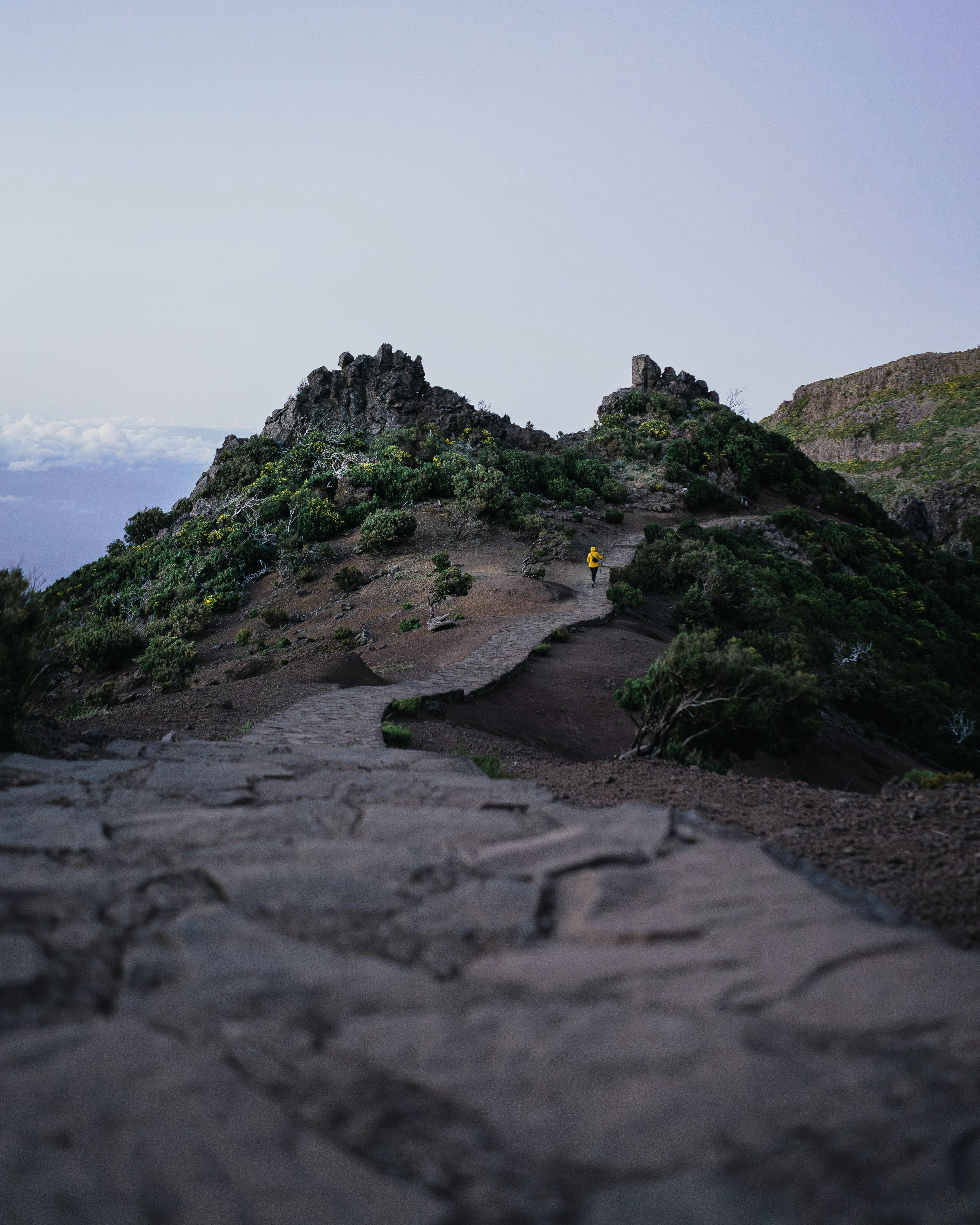 Fridayparent+Portal,+Oldbridge Photos, Download The BEST Free ...