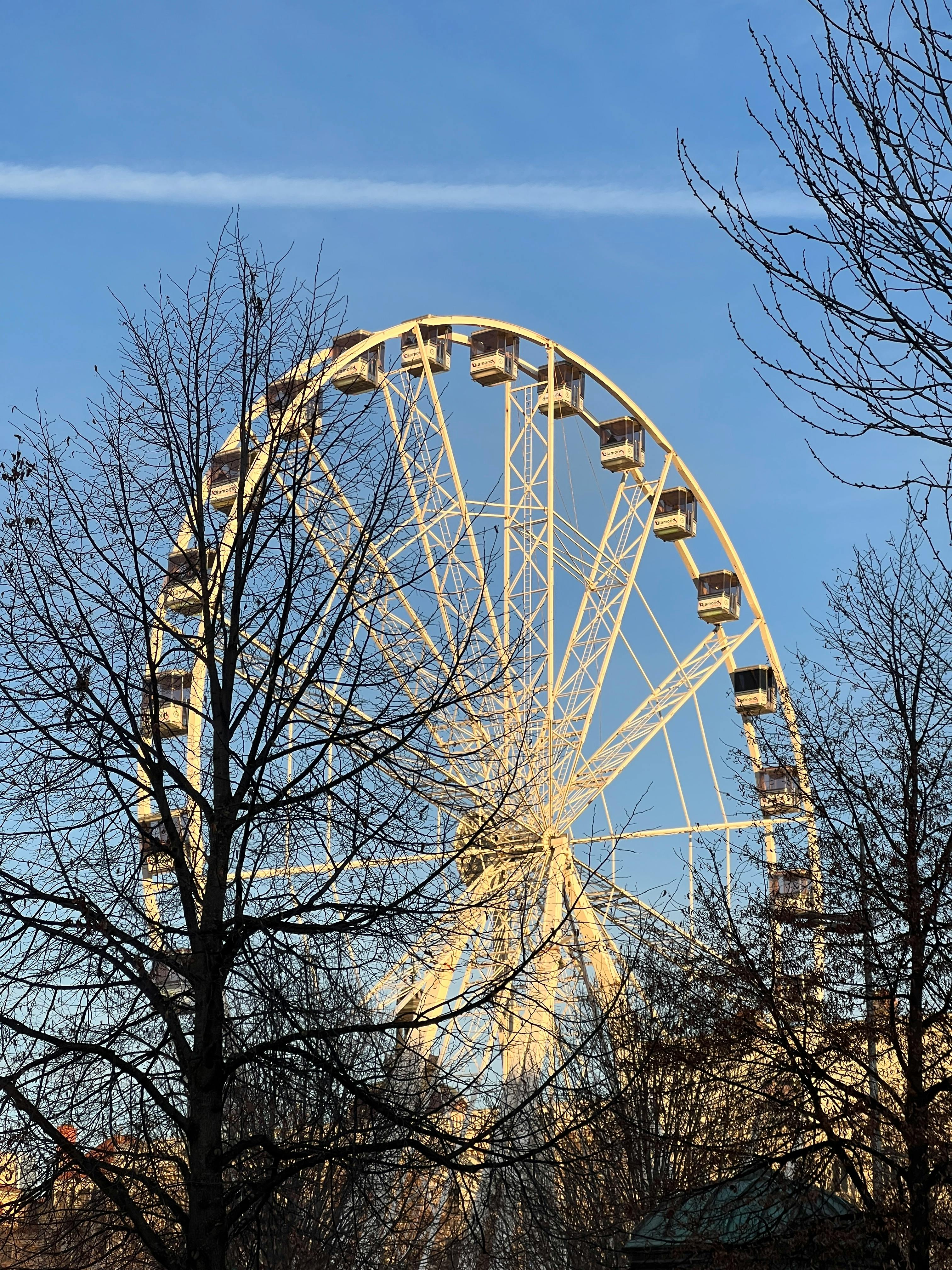 Ferris Wheel in Lyon · Free Stock Photo