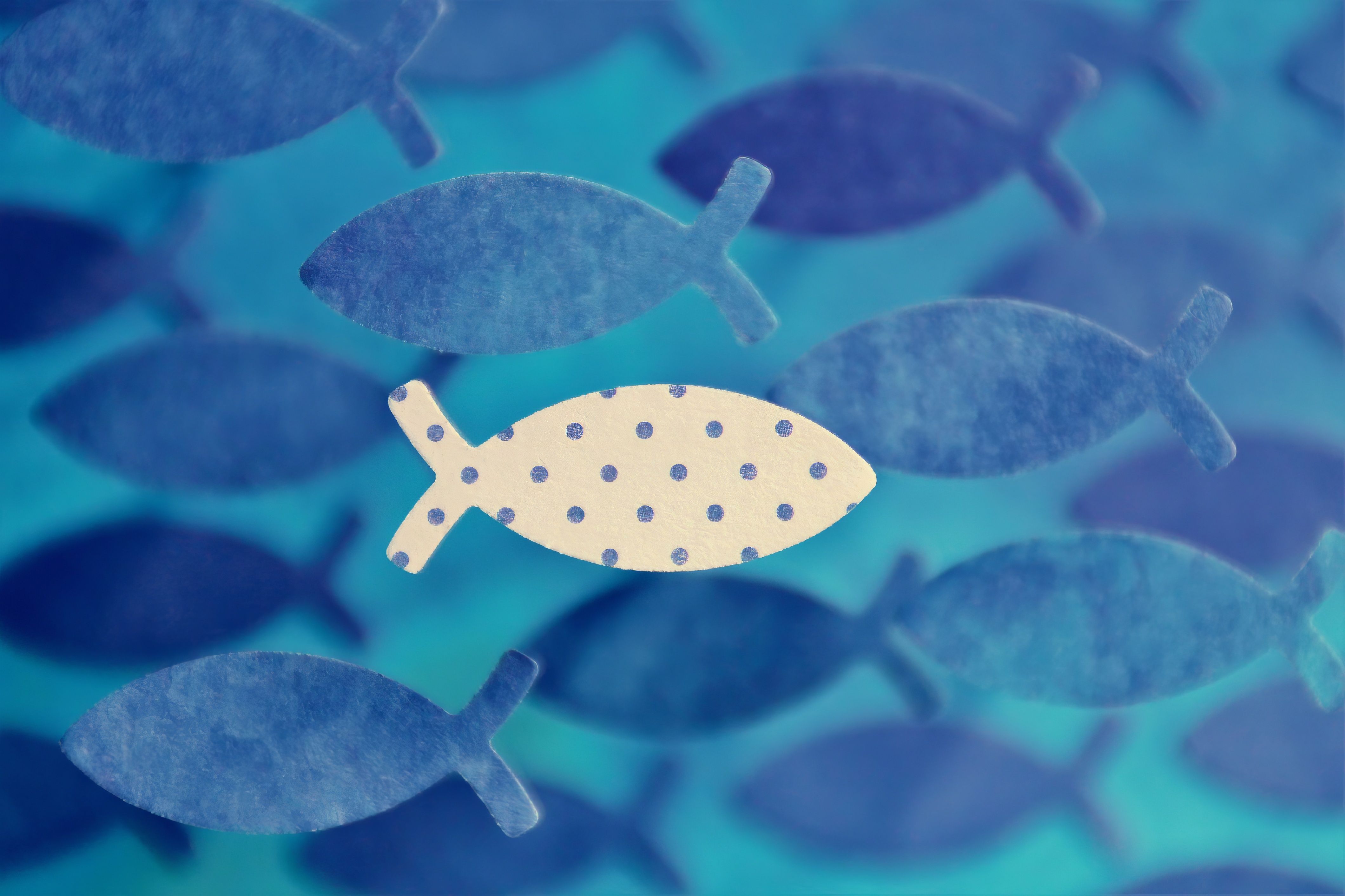 Fish Shapes Decoration · Free Stock Photo