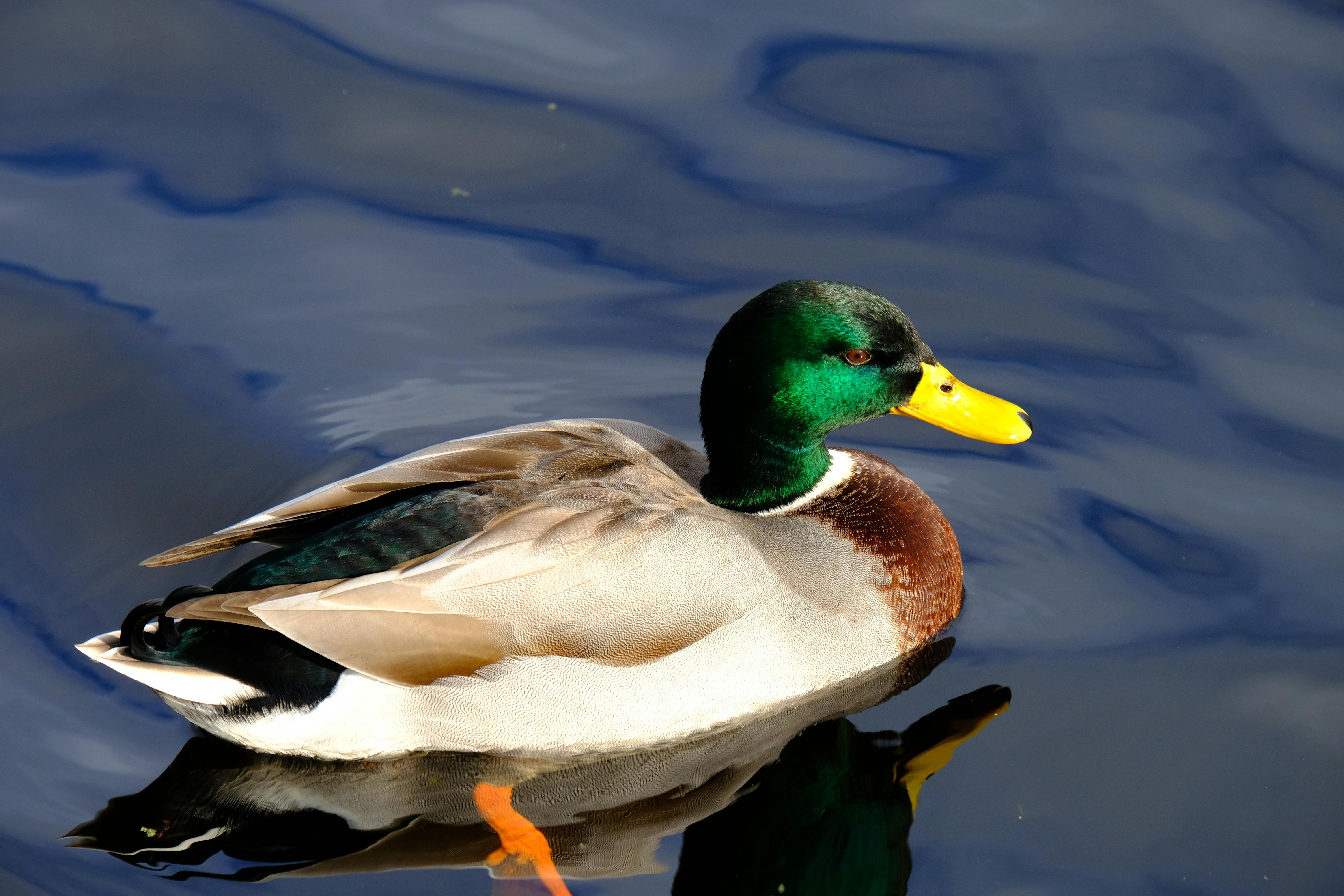 Fernando Soares - Photography