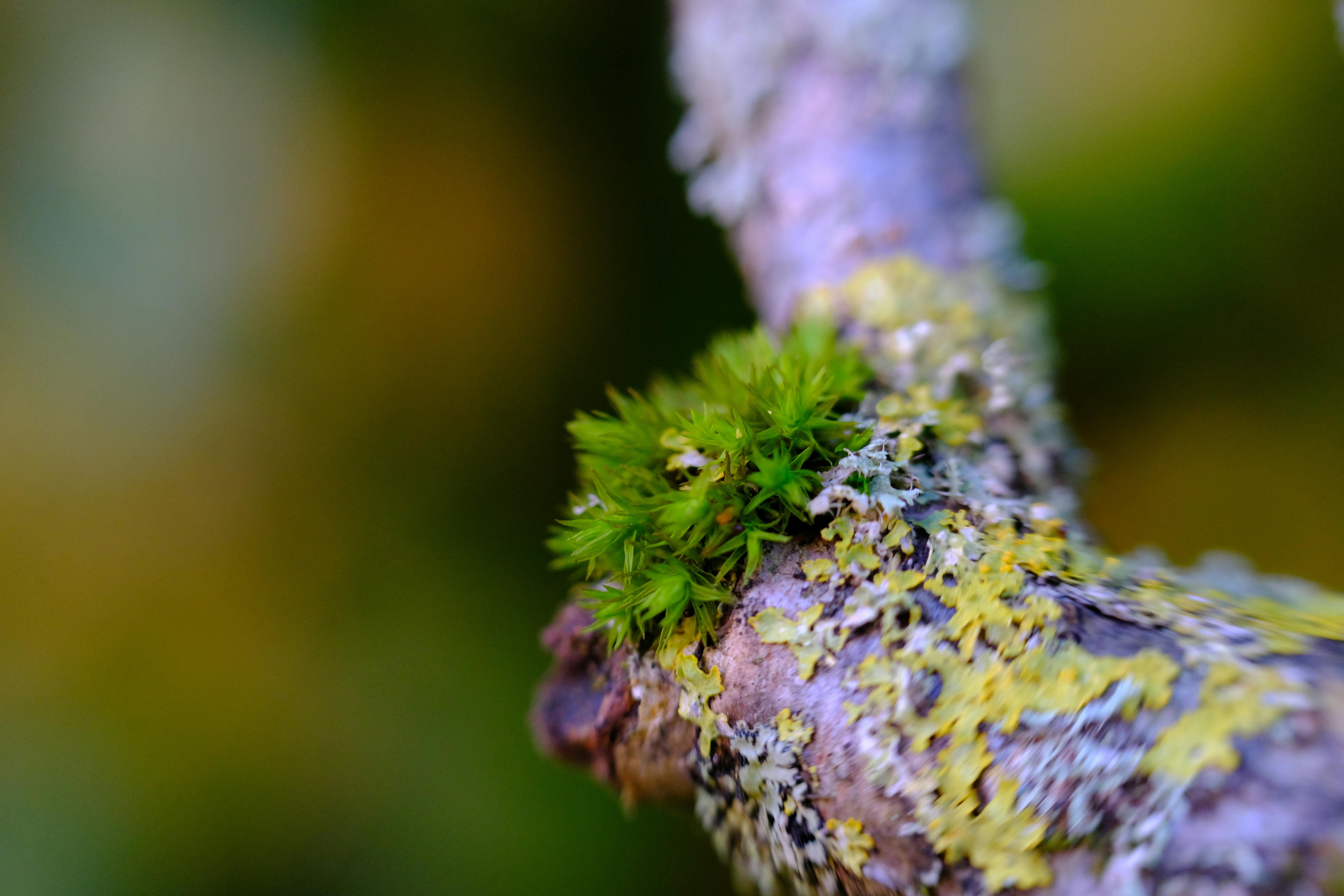 Fernando Soares – Fotografia