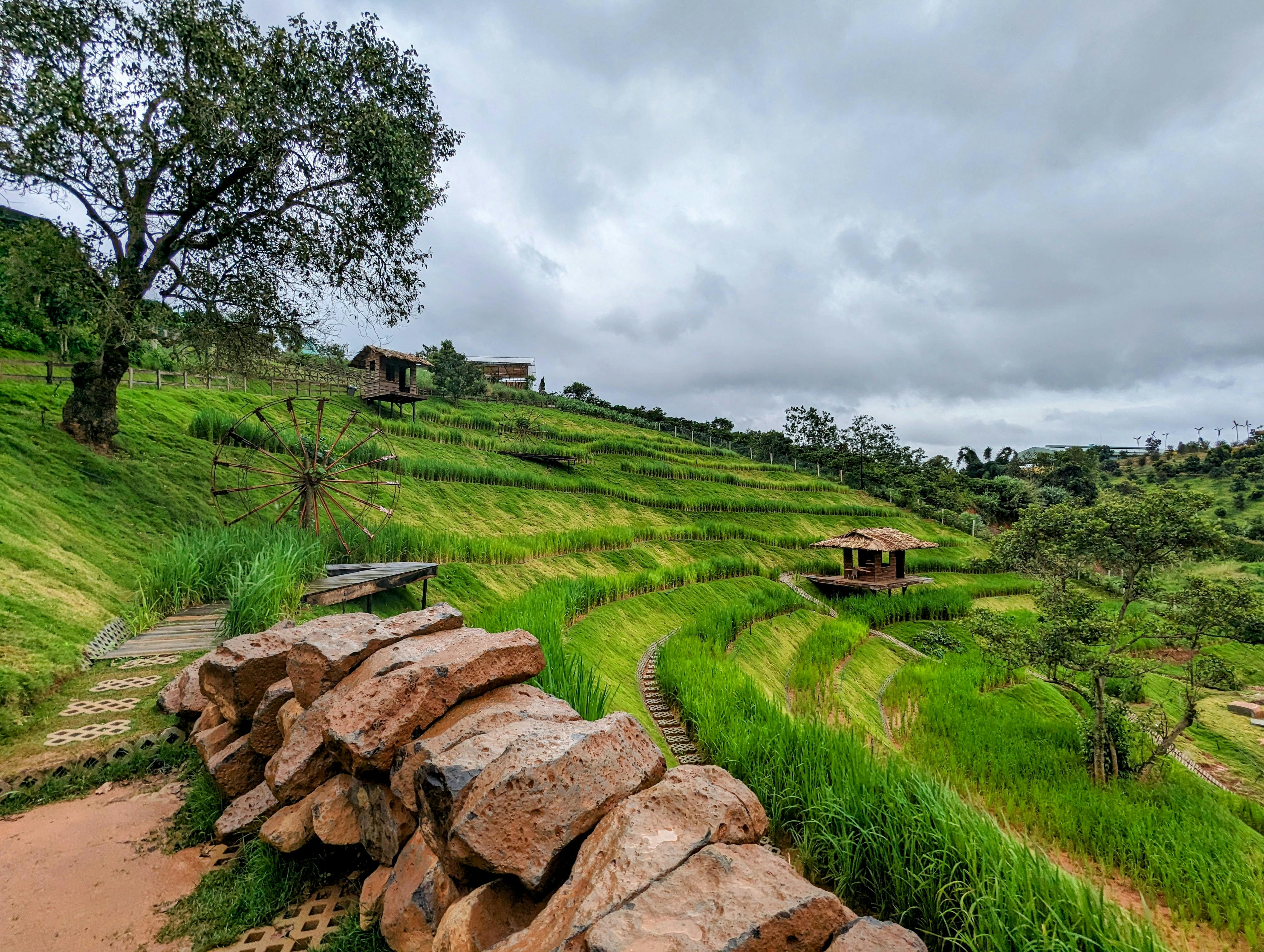 View of a Terrace Plantation in the Countryside · Free Stock Photo