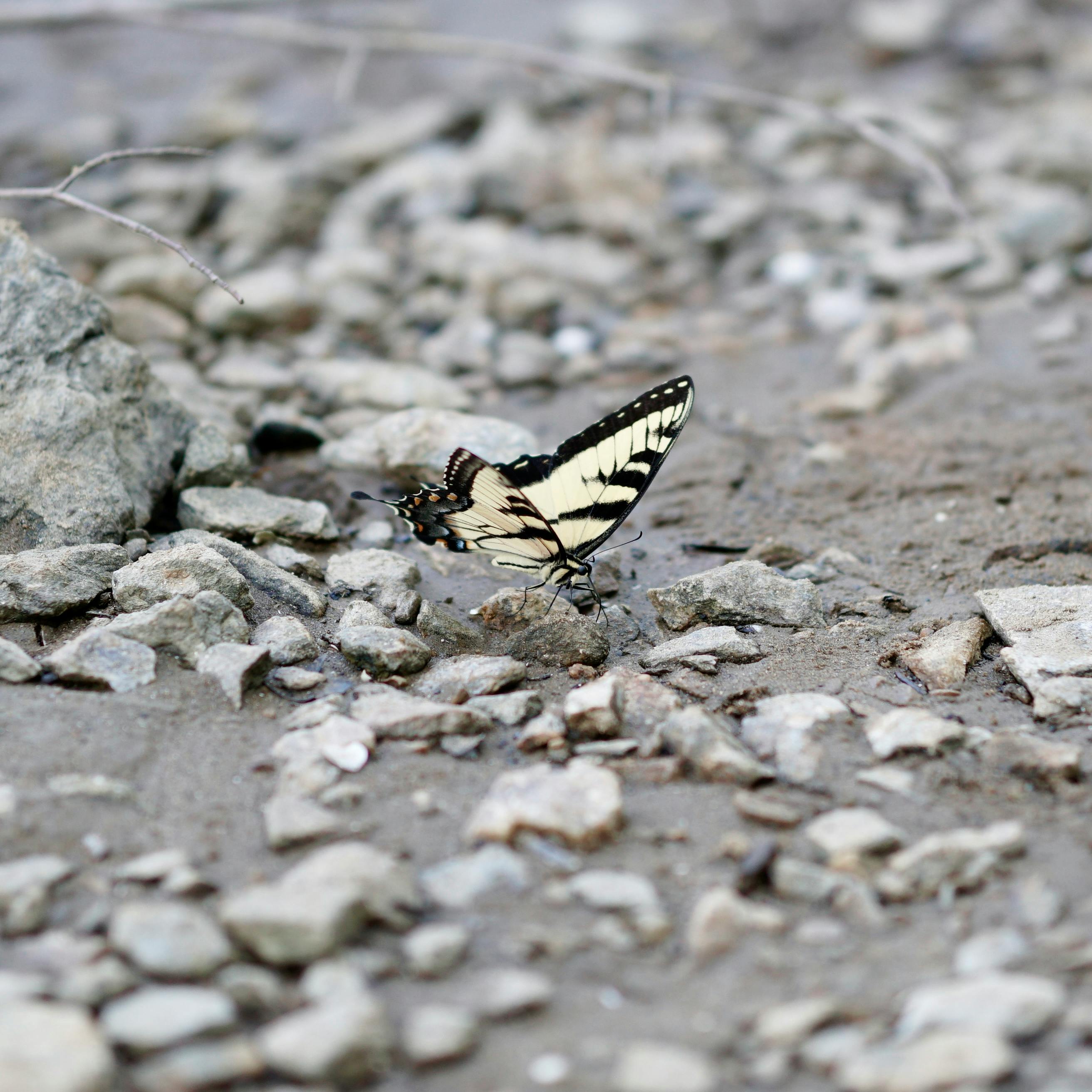 Eric Joseph - Photography