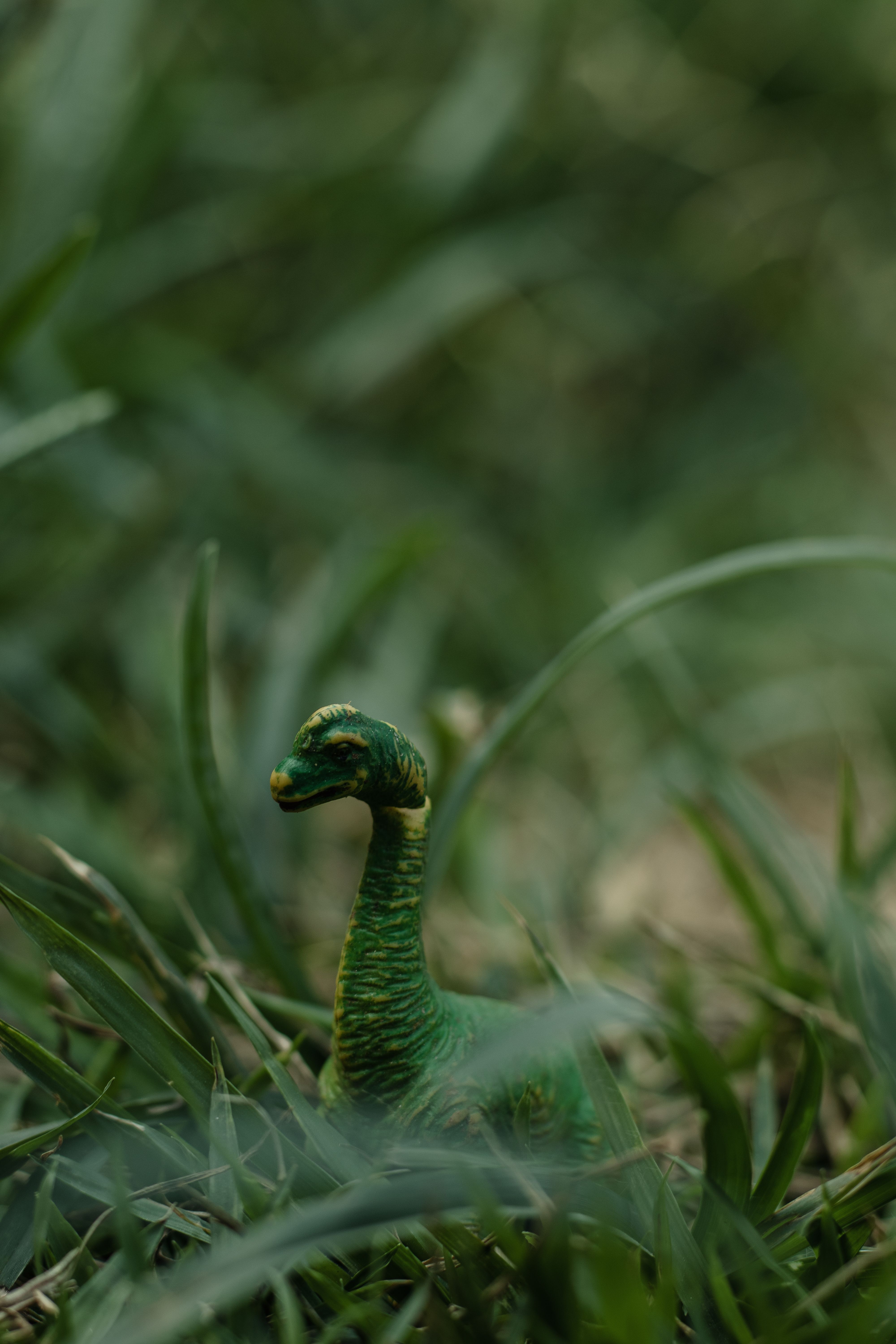 Green Dinosaur in Grass · Free Stock Photo