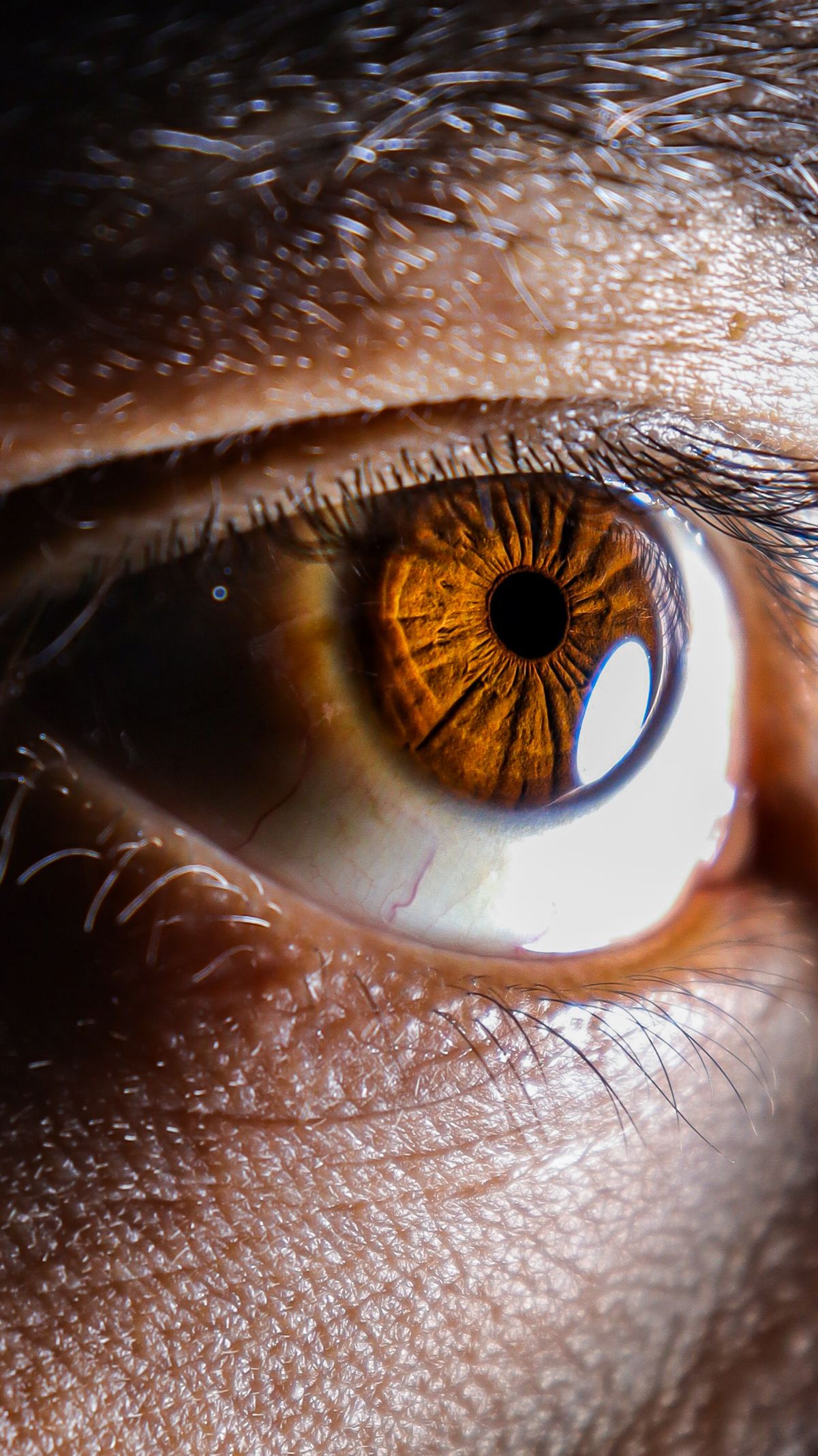 Eye+Live+Wallpaper+4k Photos, Download The BEST Free Eye+Live ...
