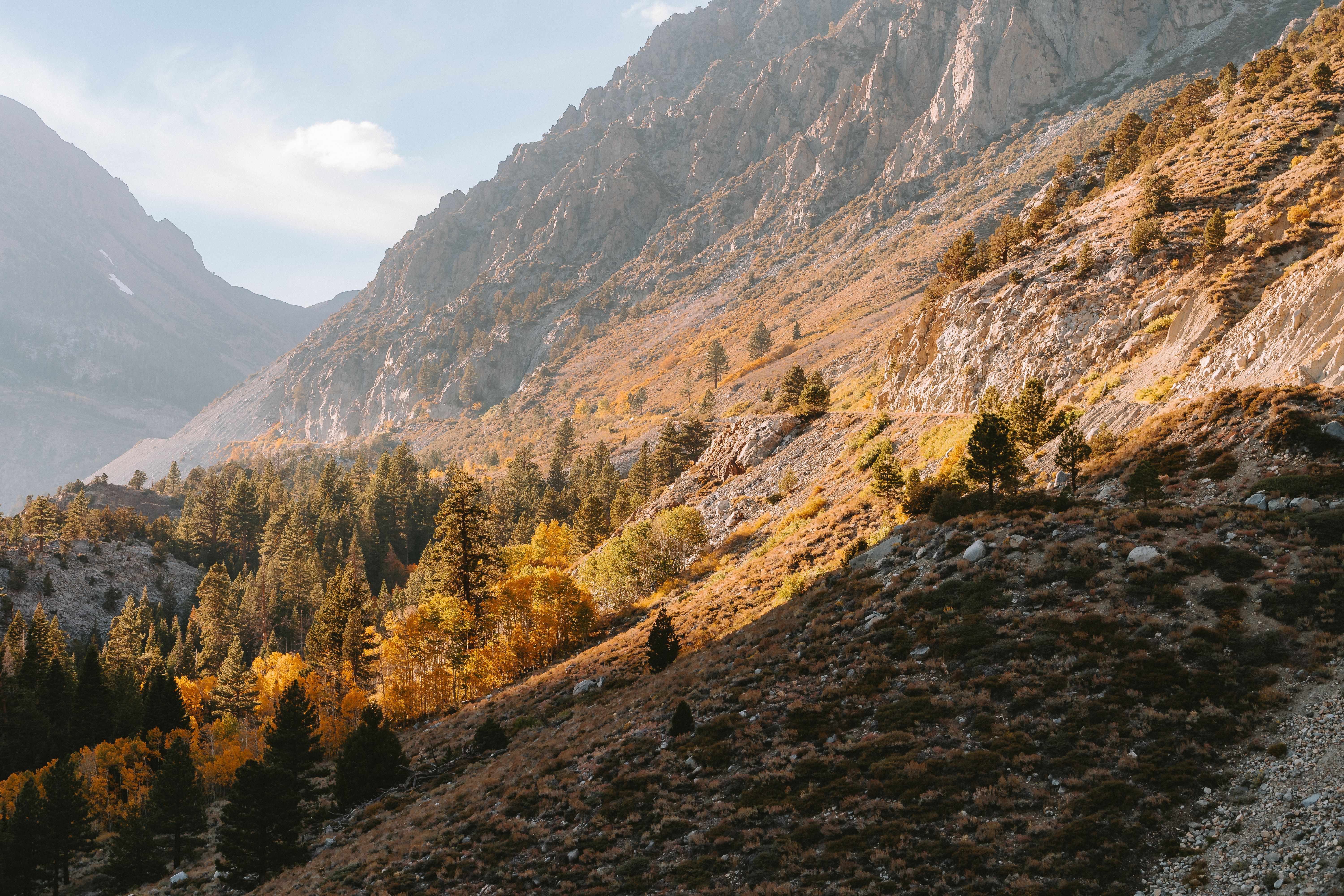 Rocky Slope in Mountains in Autumn · Free Stock Photo