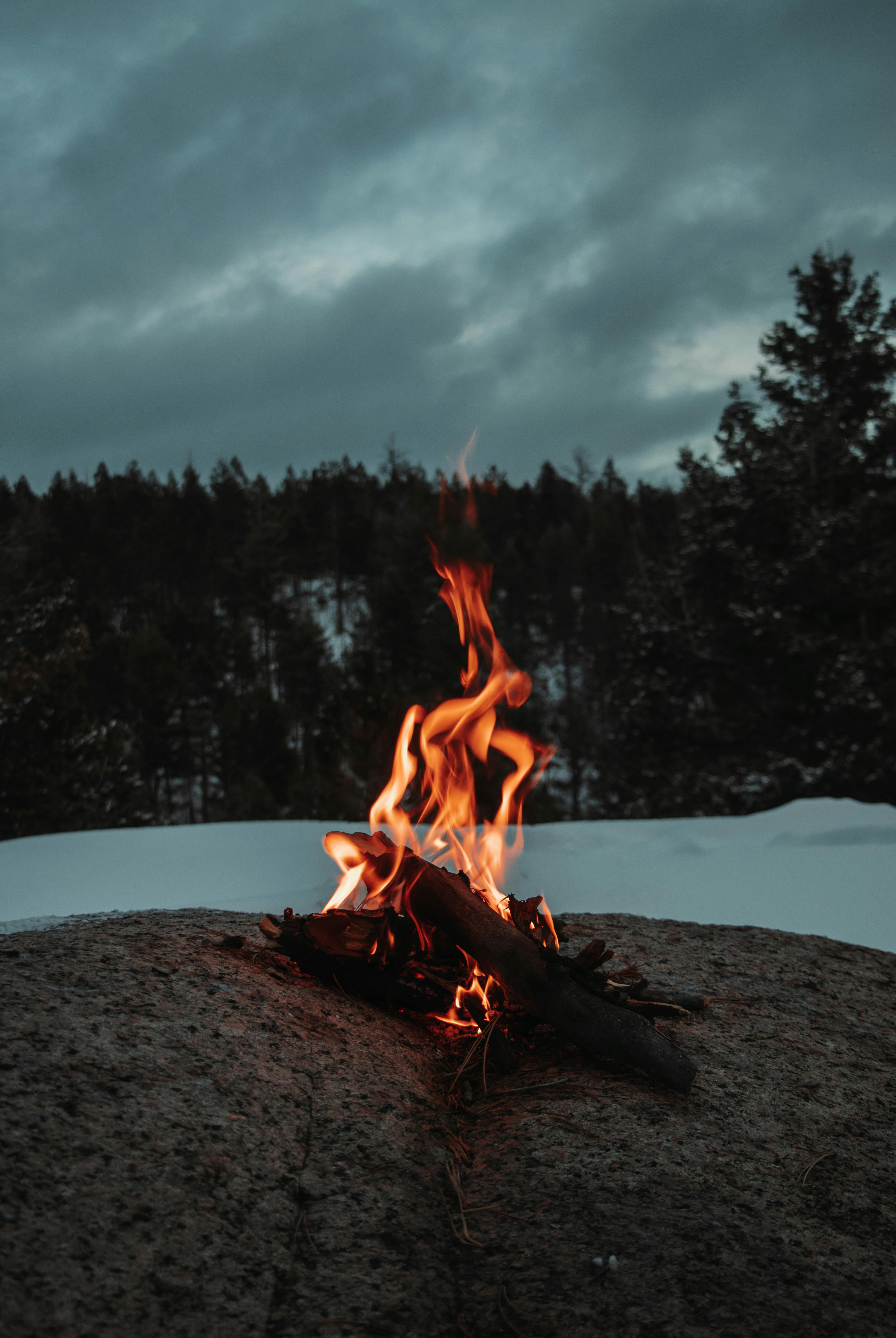Bonfire in Winter · Free Stock Photo