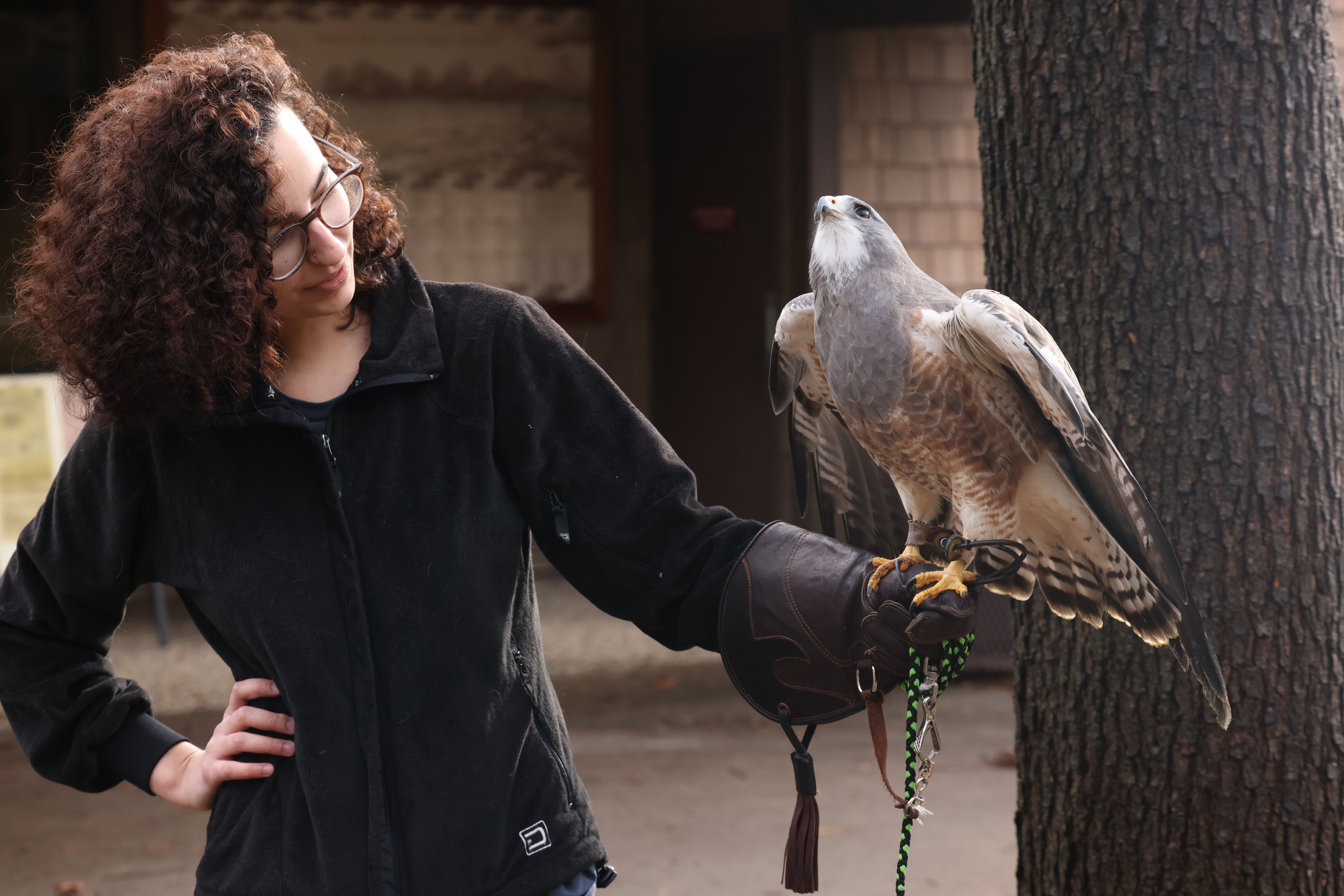 Woman with Bird of Prey · Free Stock Photo