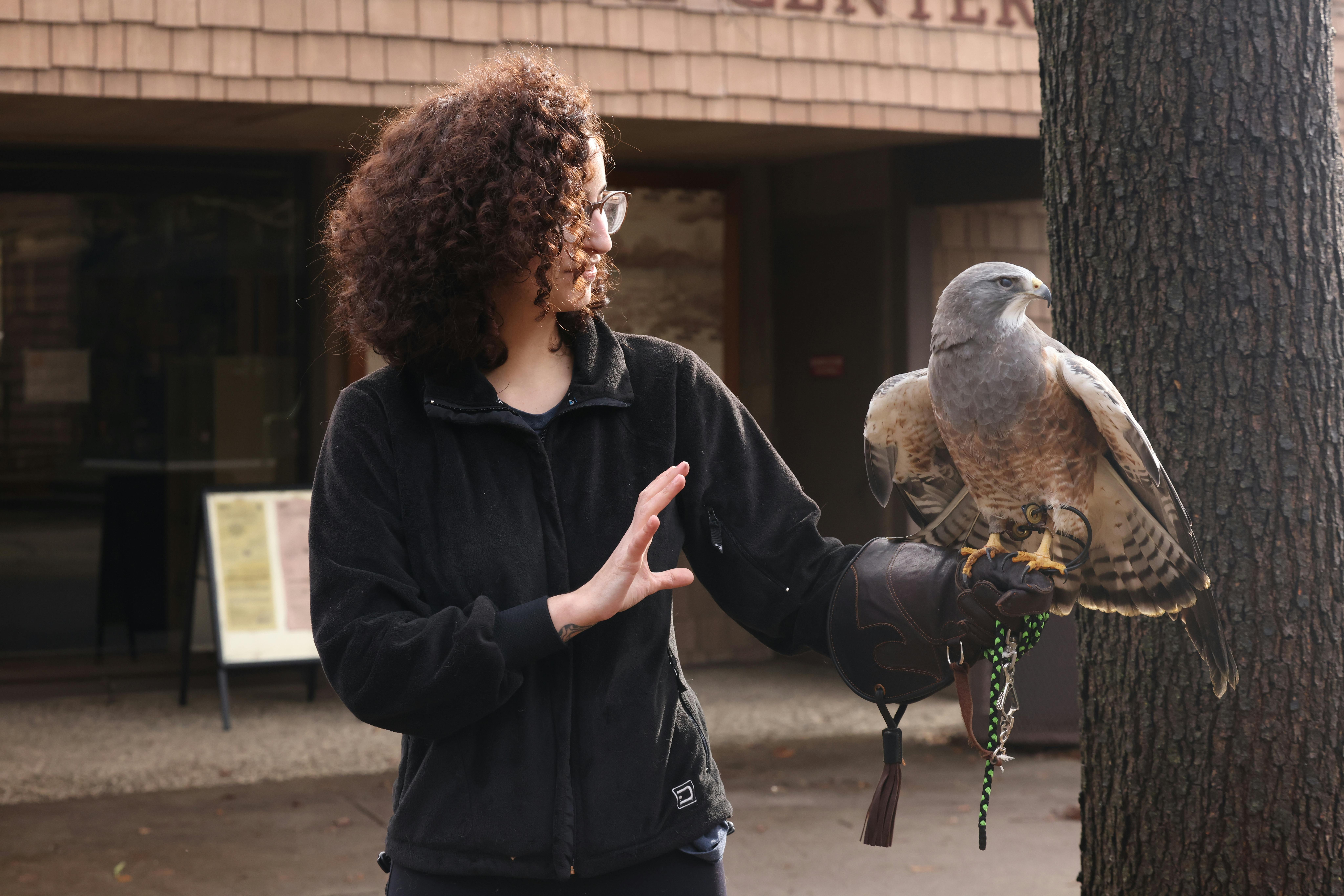 Woman Holding American Kestrel Bird · Free Stock Photo