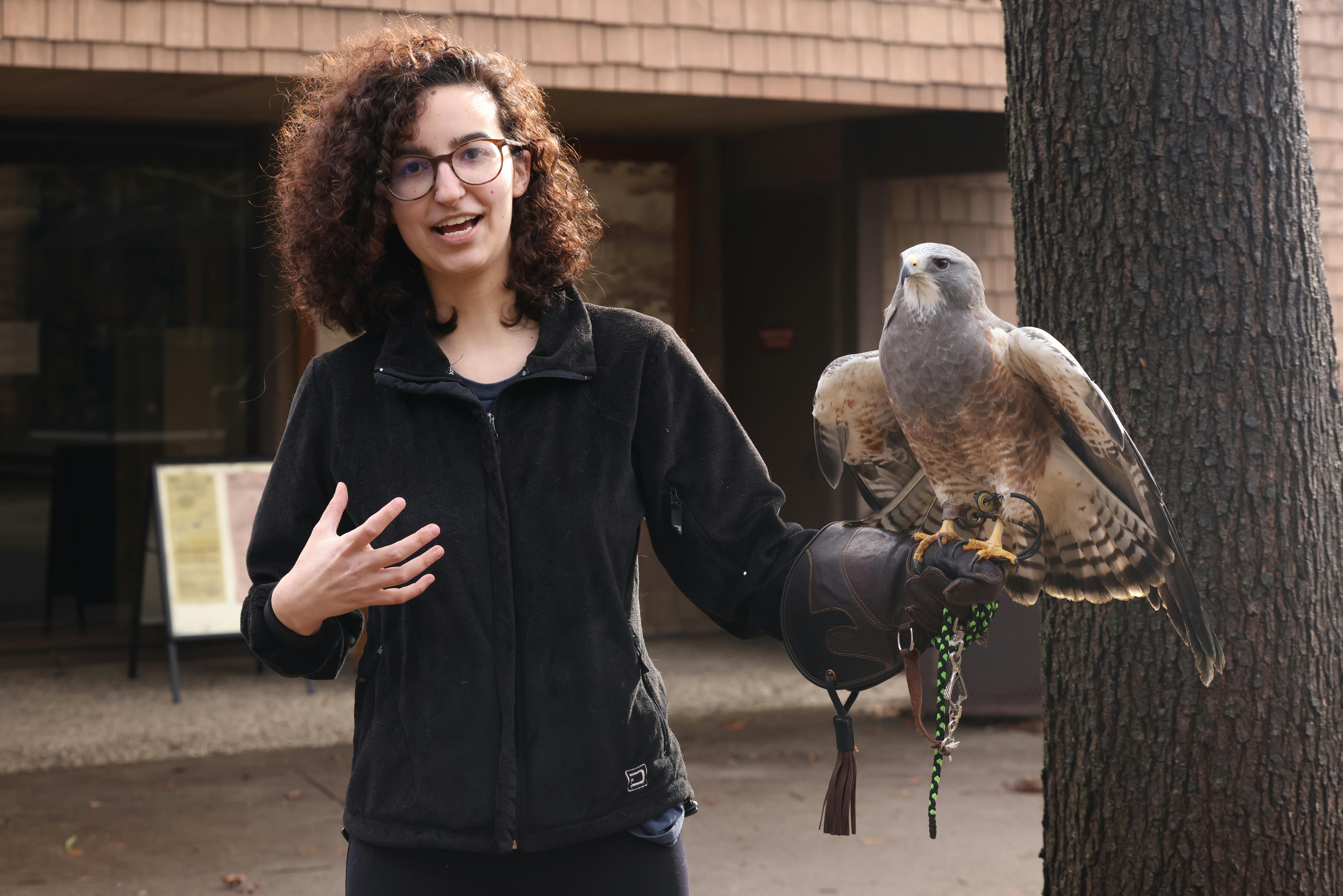 Woman in Dress and with Falcon · Free Stock Photo