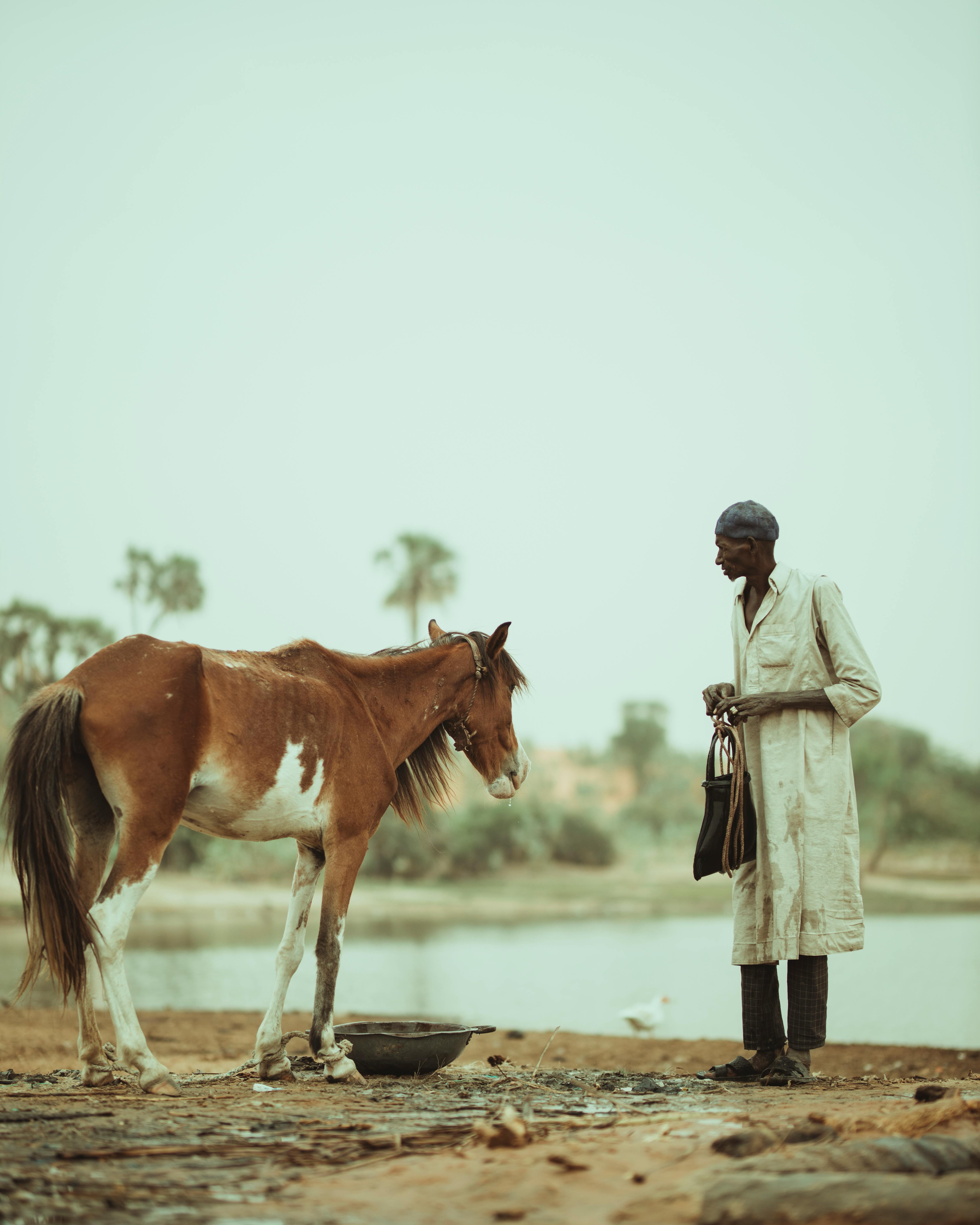 A man standing next to a horse by the water · Free Stock Photo