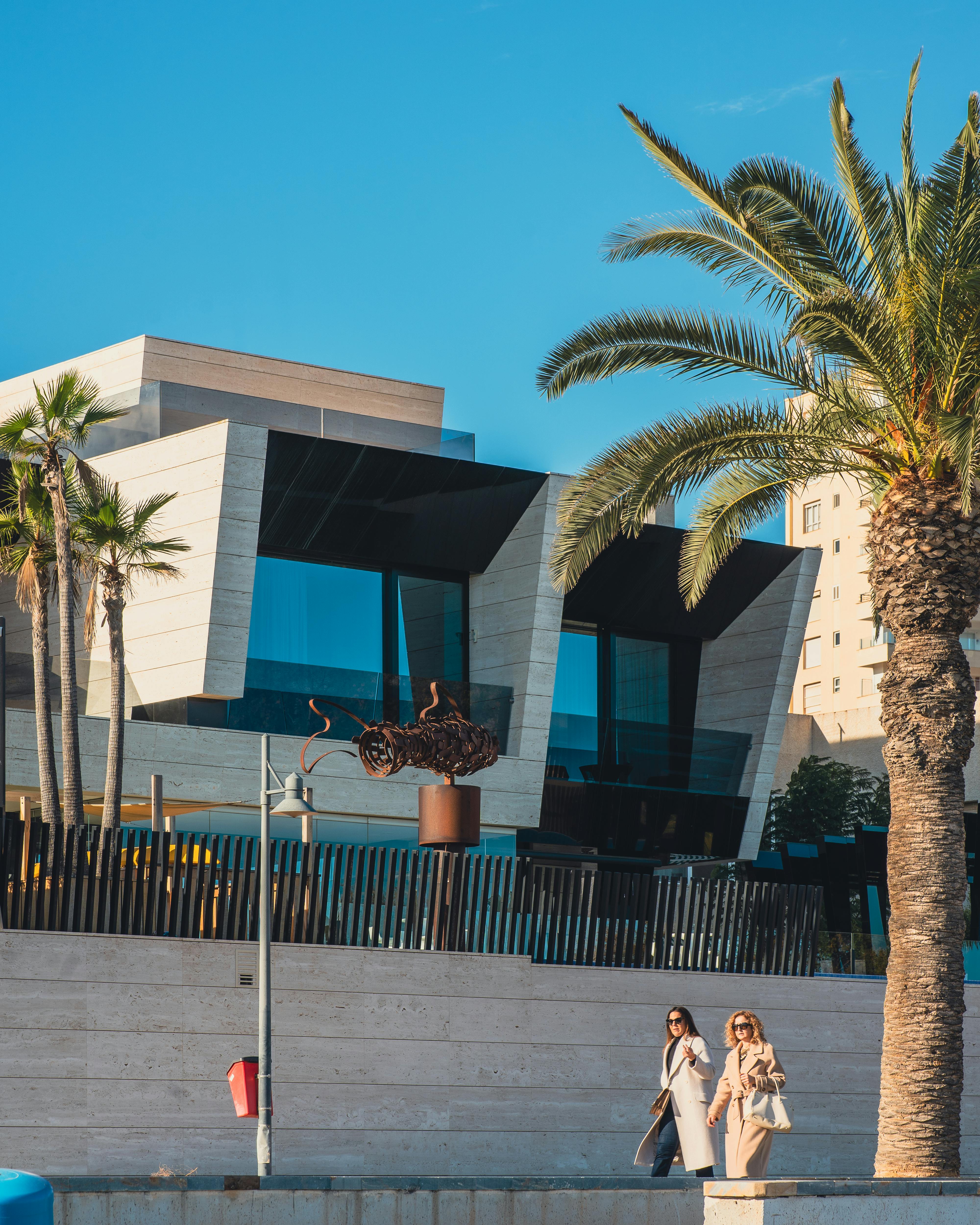 Palms in Front of a Modern House Building · Free Stock Photo