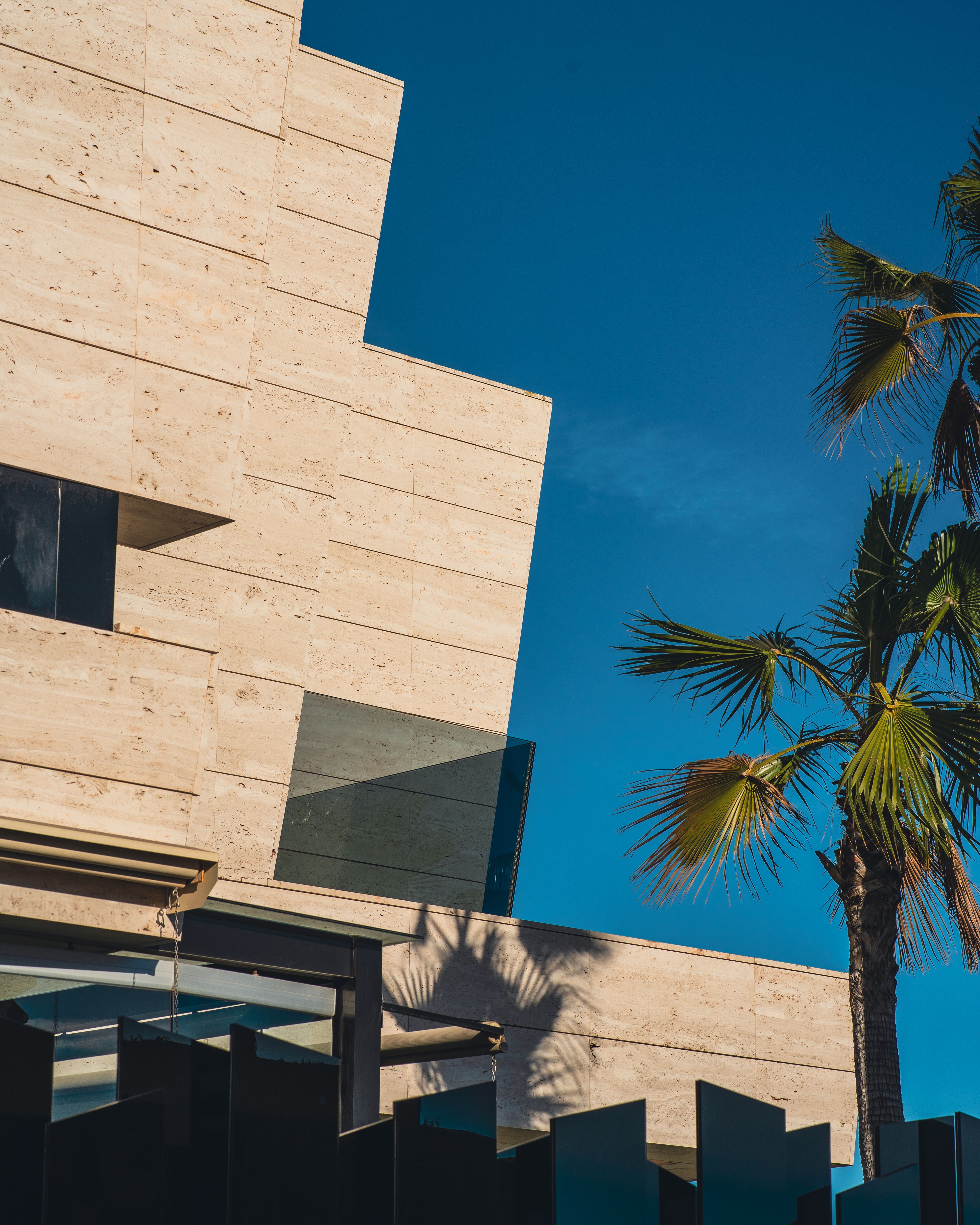 Palm in Front of Modern House Building · Free Stock Photo