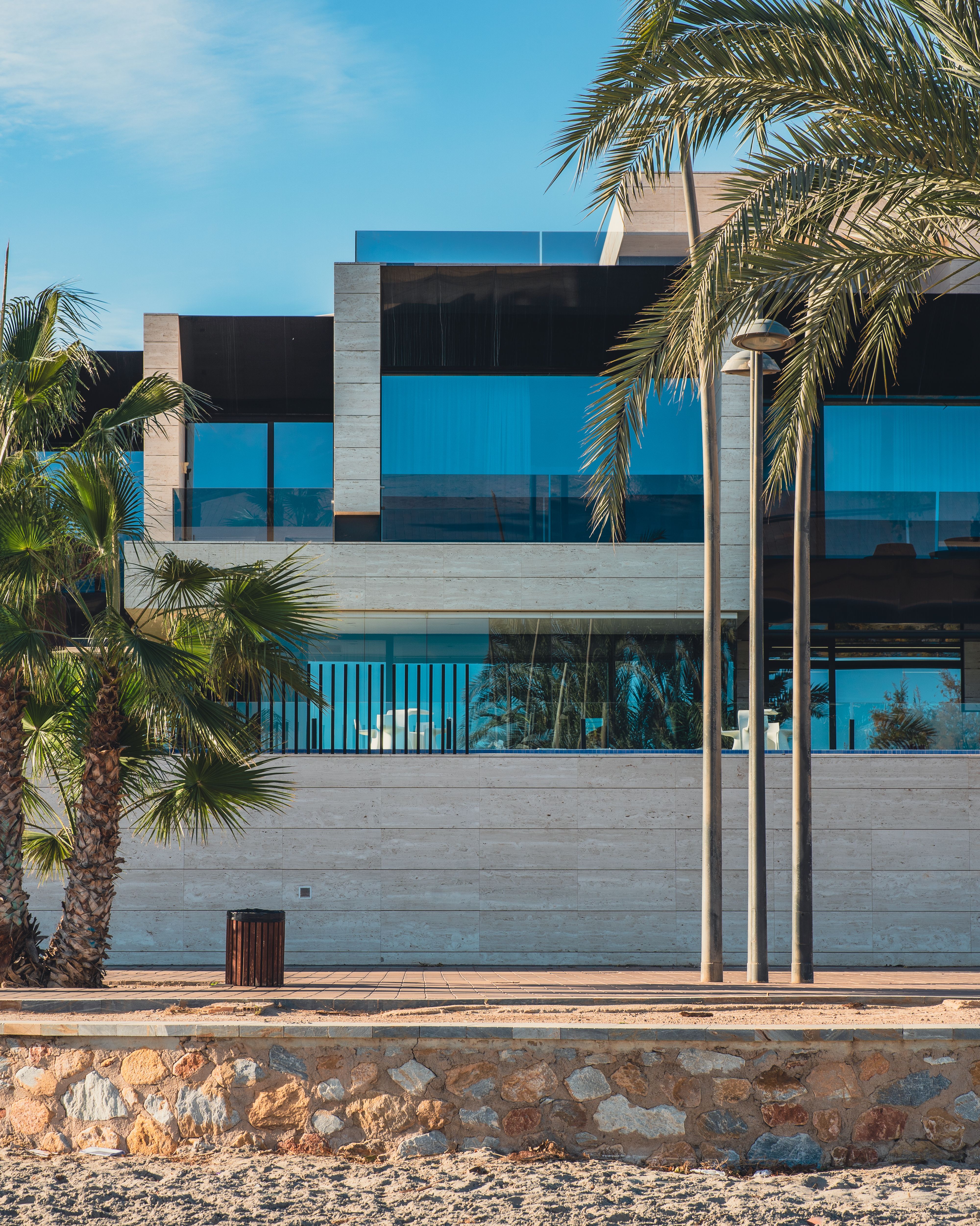 Palms in Front of Modern House Building · Free Stock Photo